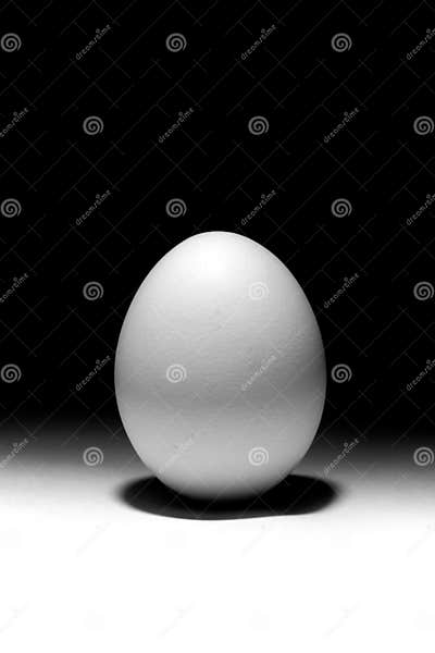 Simple egg stock photo. Image of fragile, kitchen, single - 4386694