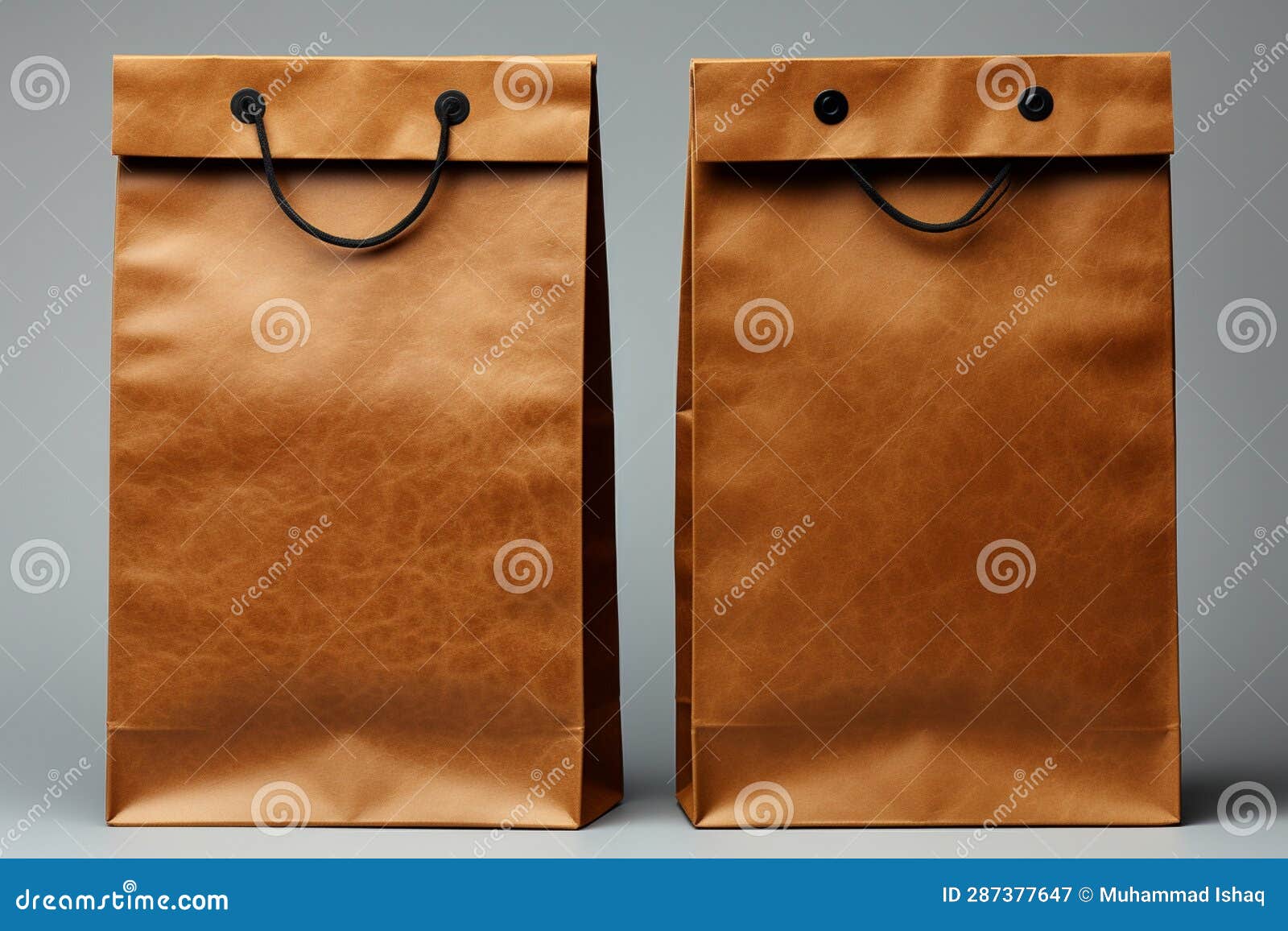 Simple Elegance, Isolated Brown Bag Packaging Template Presented with ...