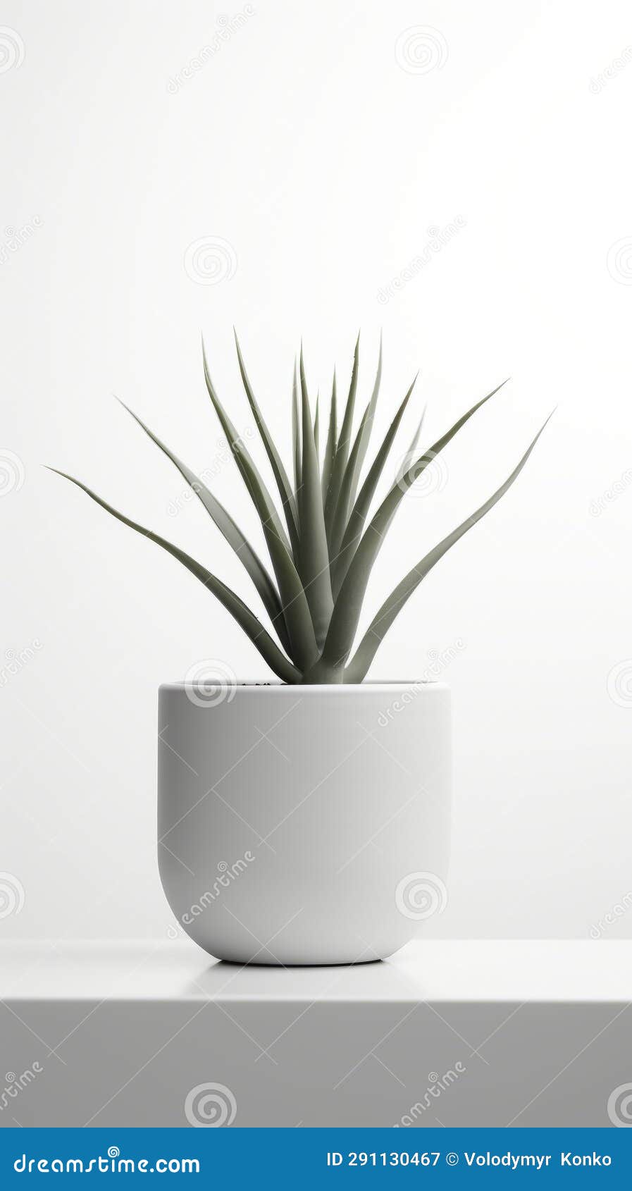 A Simple and Elegant White Potted Plant on a Table Stock Image - Image ...