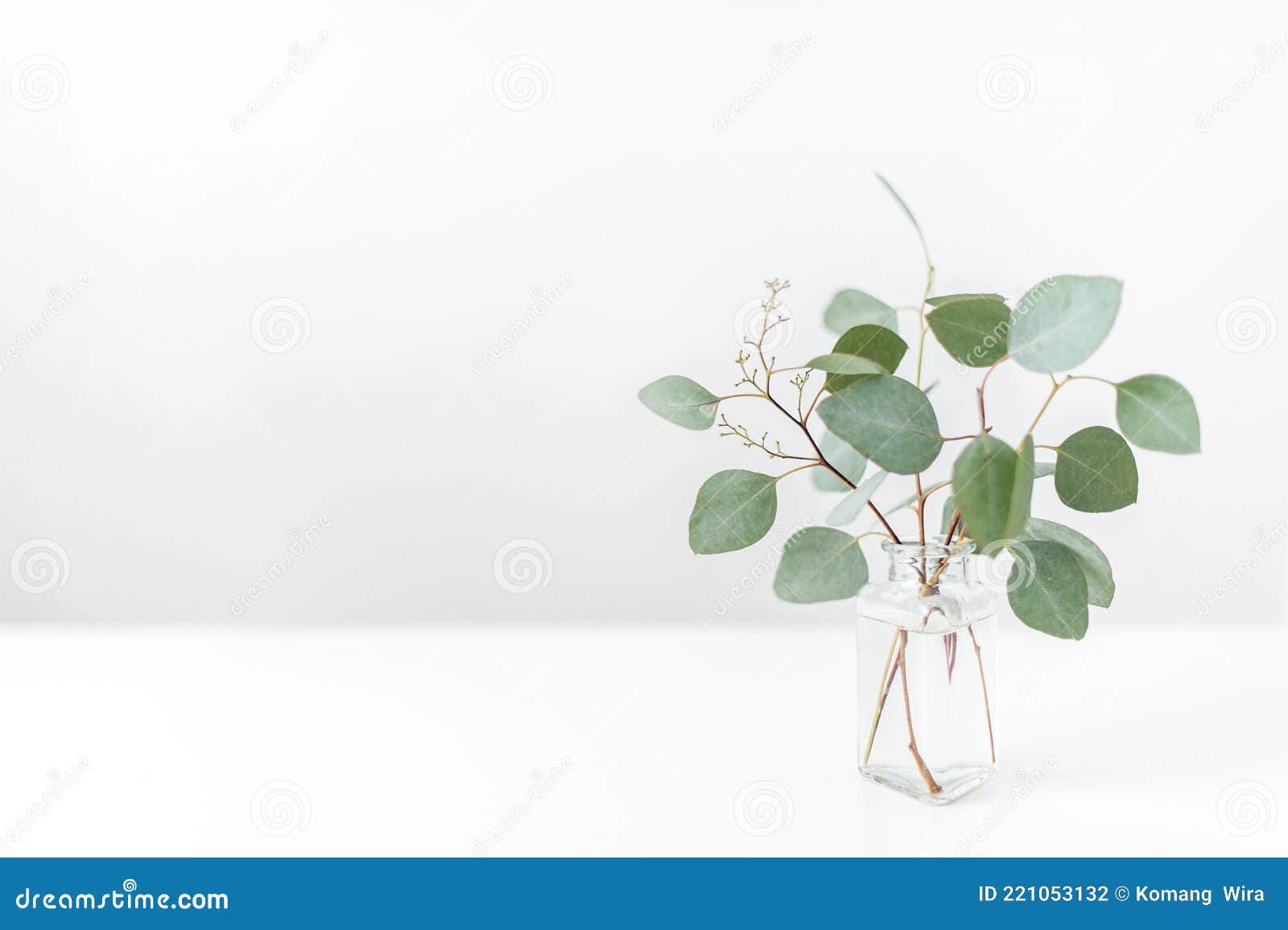 Simple Eucalyptus Pattern Background Stock Photo - Image of fresh ...