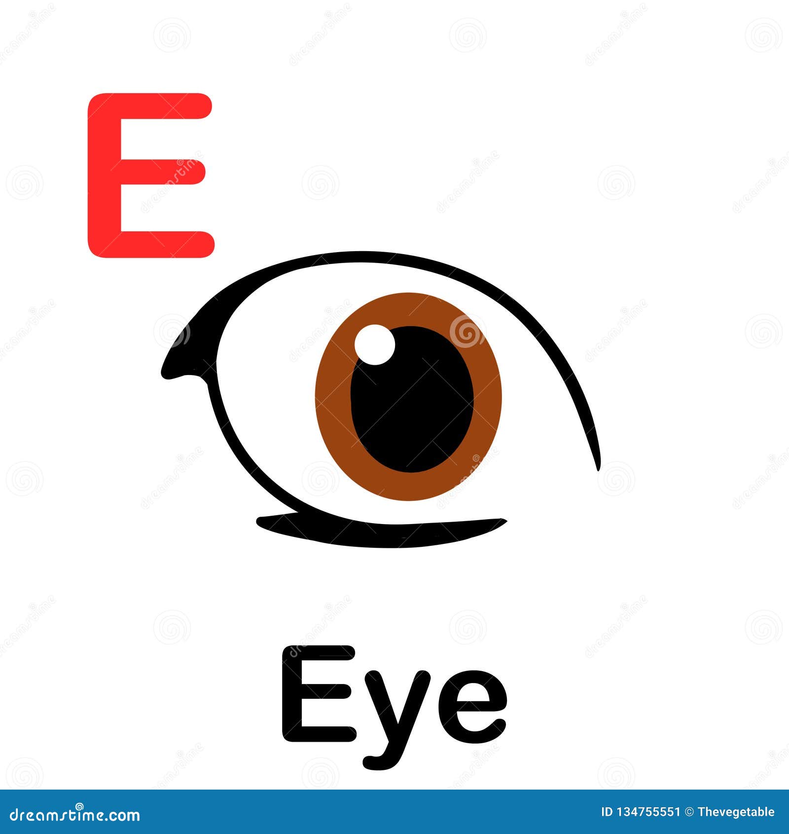 Simple eye design stock illustration. Illustration of human - 134755551