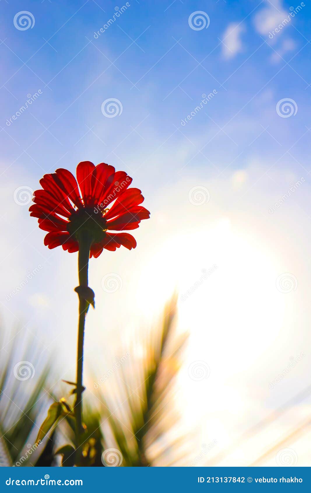 A simple flower shoot stock illustration. Illustration of simple ...