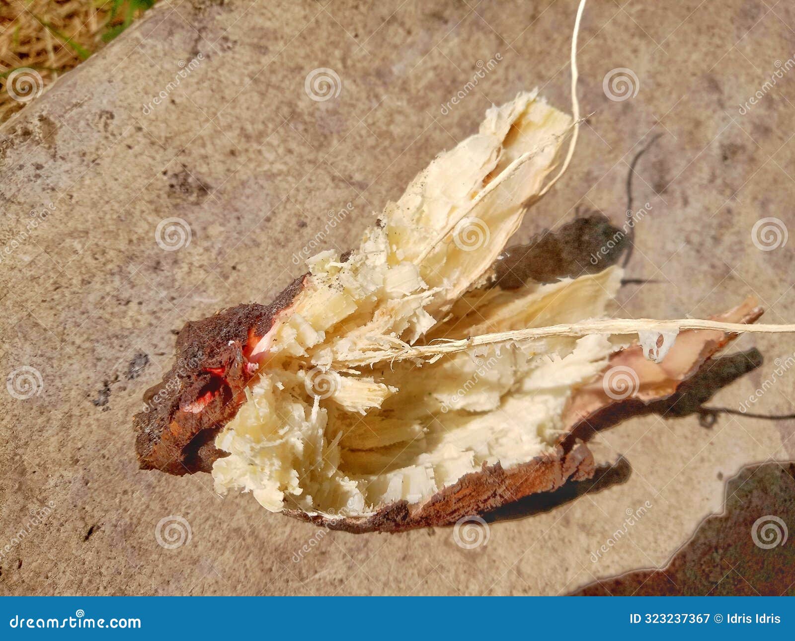 Roasted cassava stock image. Image of grilled, cassava - 323237367