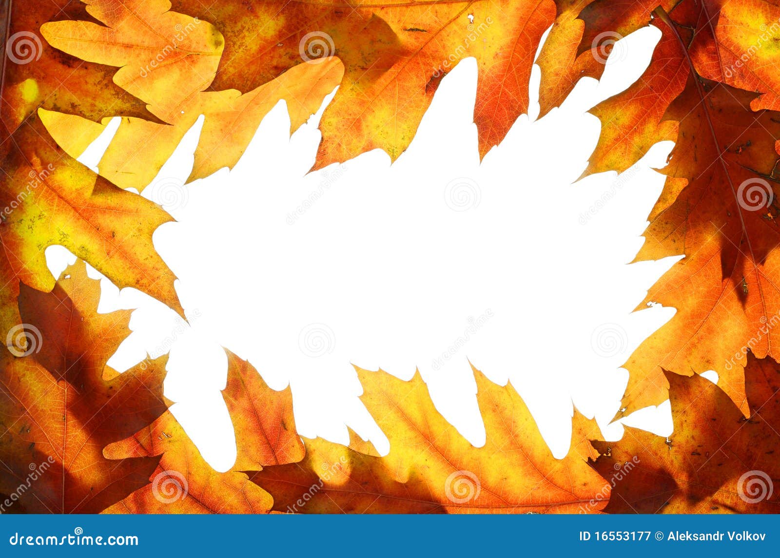 Simple Frame from Autumn Leaves Stock Image - Image of abstract ...