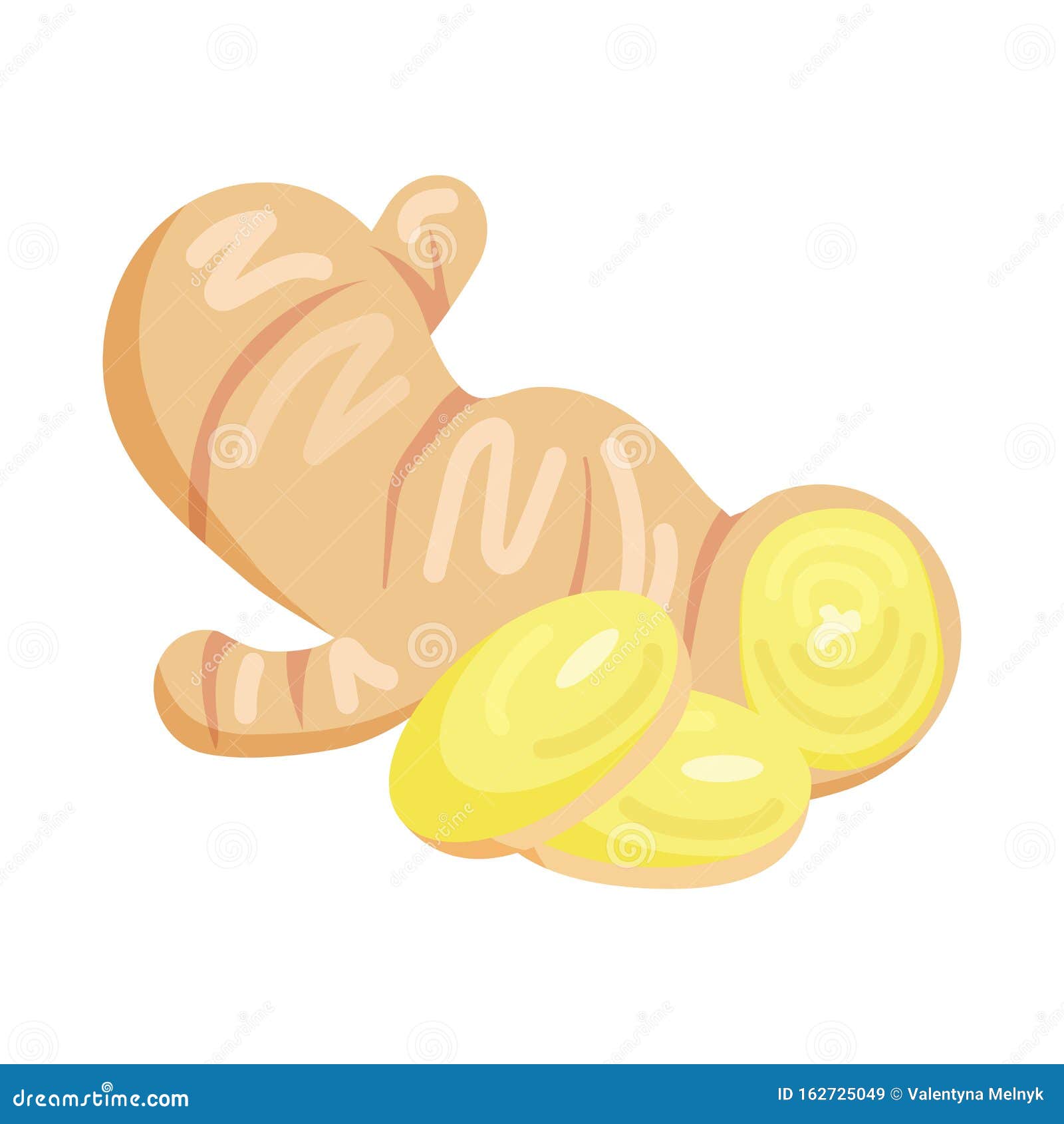 Simple Ginger in Flat Style Stock Illustration - Illustration of fruits ...