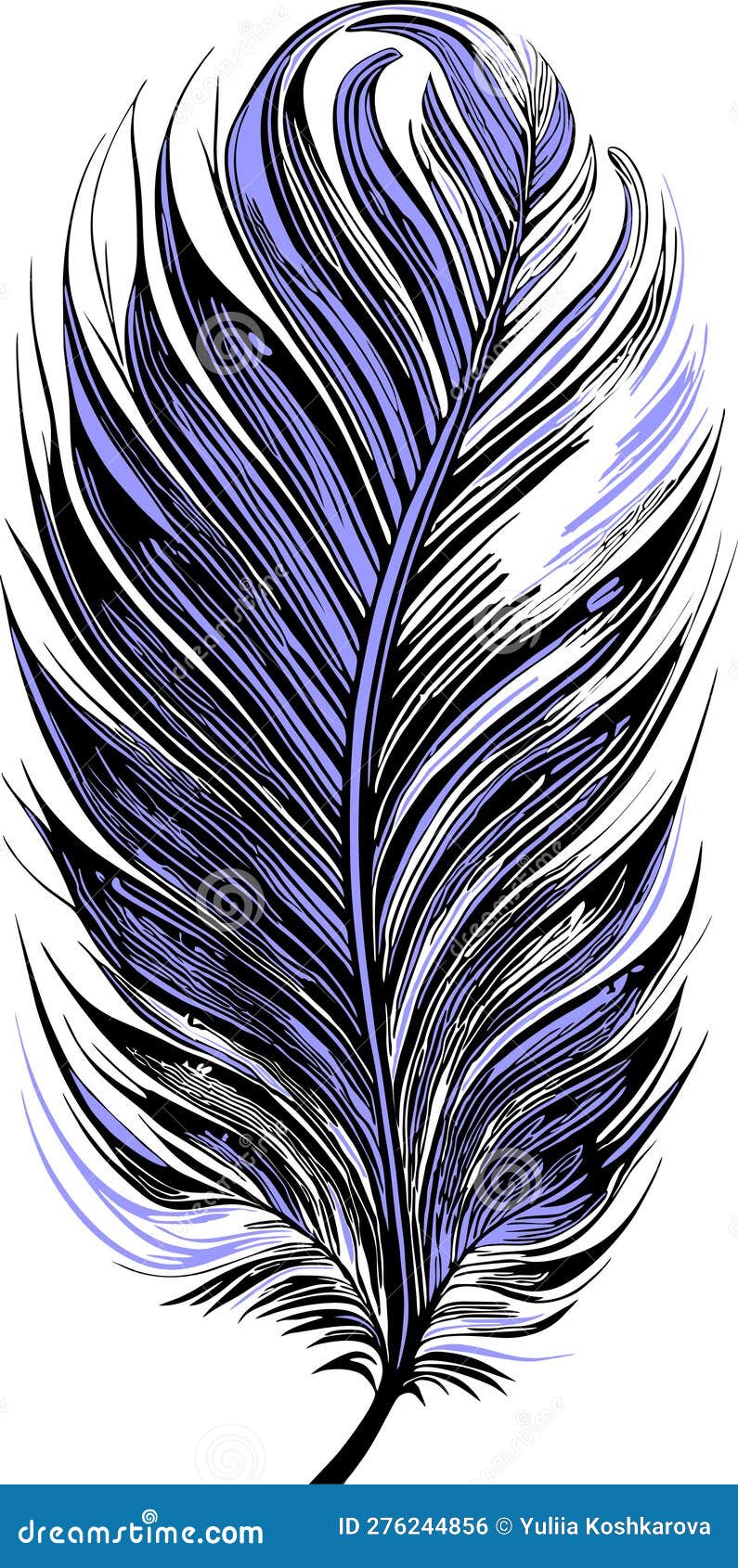 Simple Graphic Drawing Black and Blue Bird Feather, Sketch Stock ...