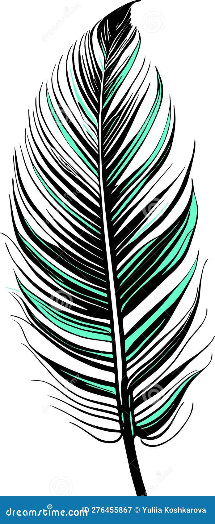 Simple Graphic Drawing Black and Green Bird Feather, Sketch Stock ...