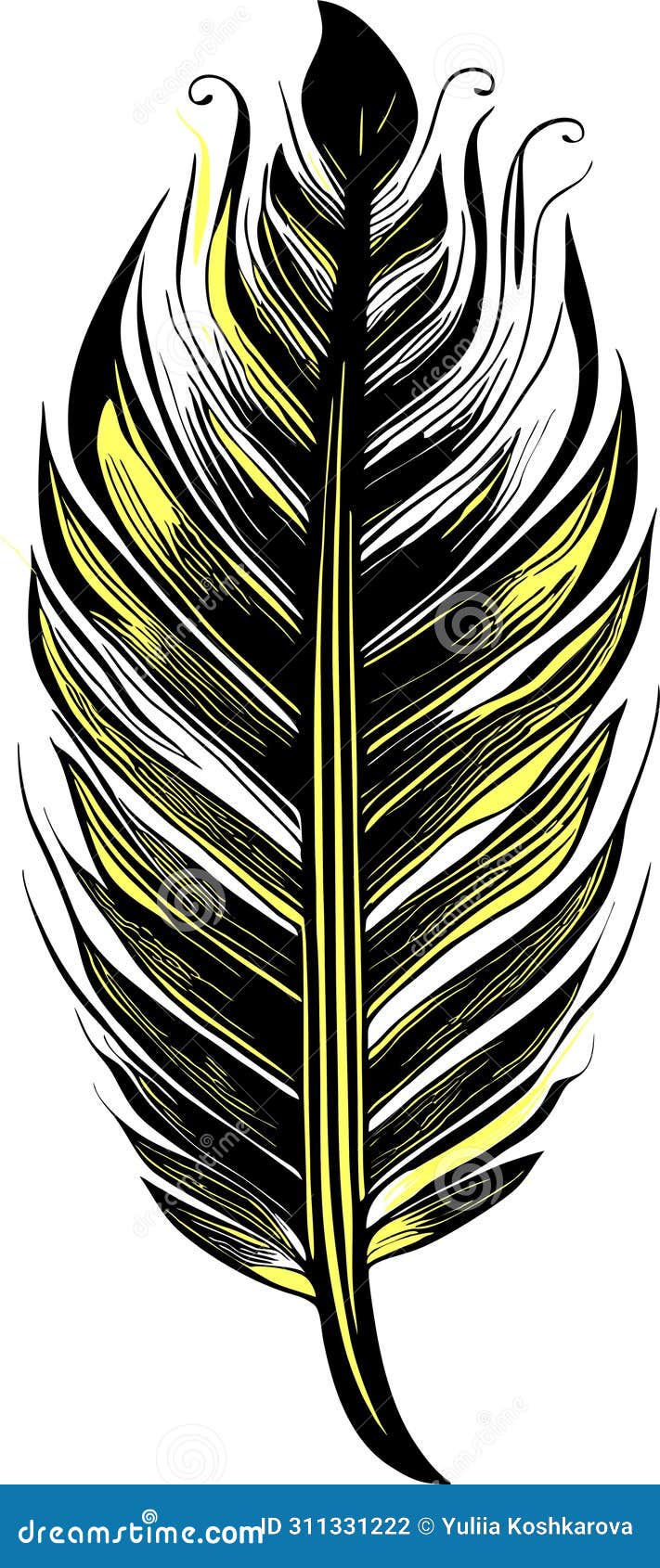 Simple Graphic Drawing Black and Yellow Bird Feather, Sketch Stock ...