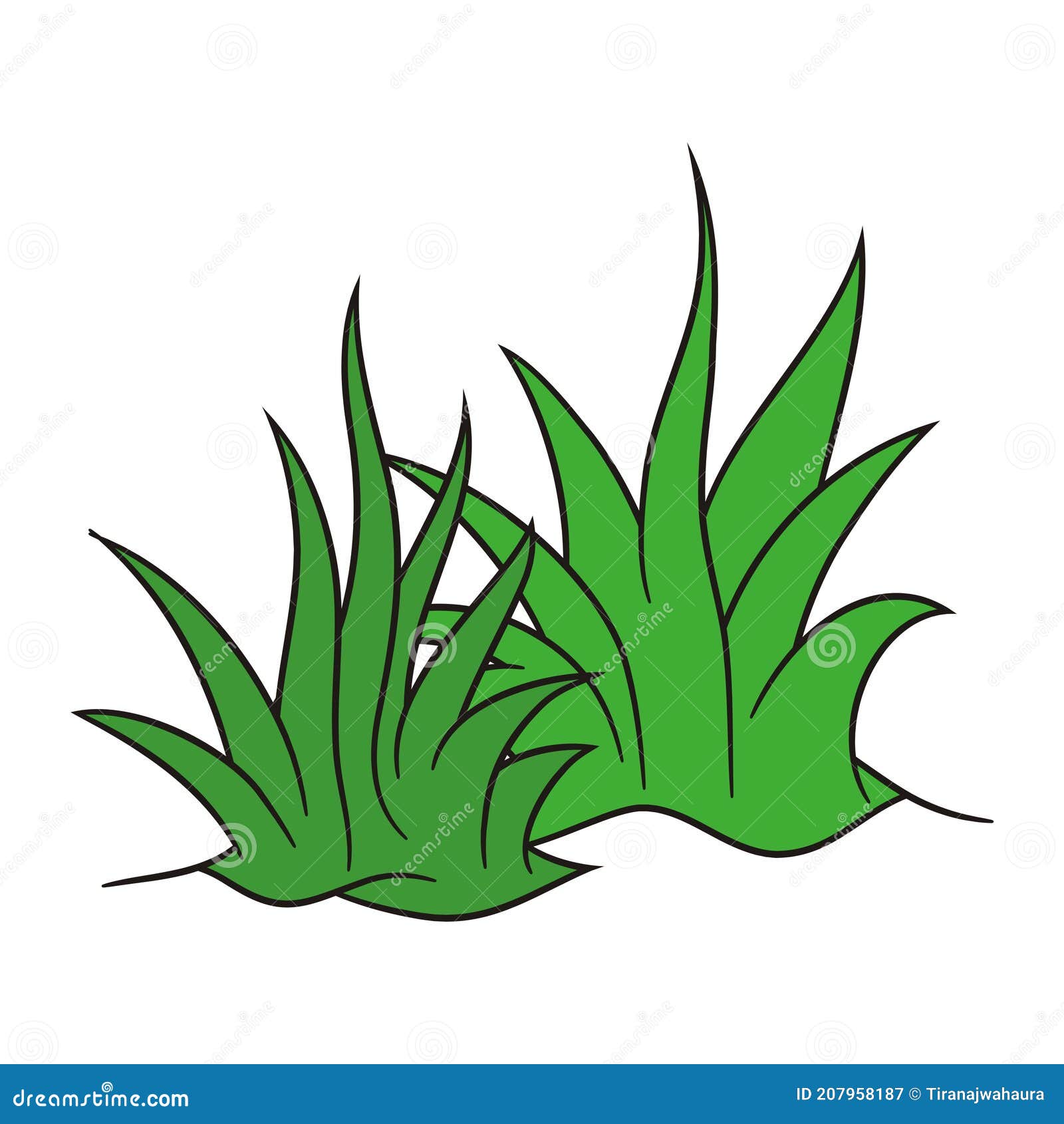 Simple Hand Drawn of Grass Vector Illustration with Flat Cartoon Style ...