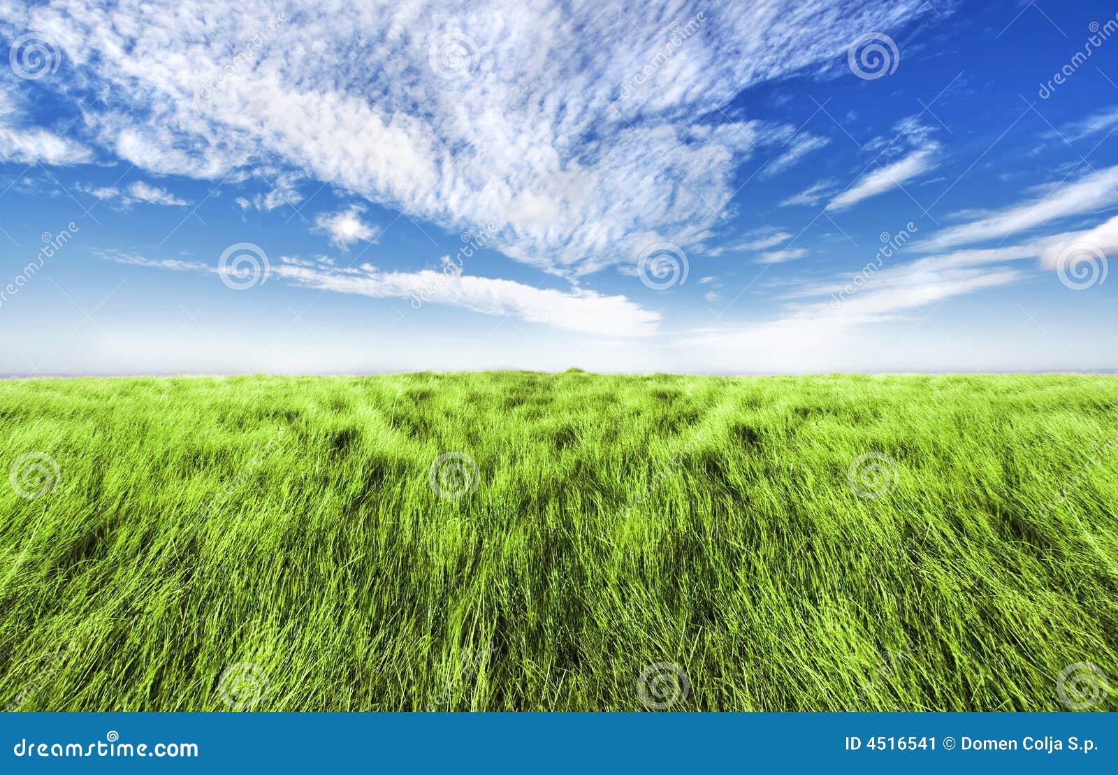 Simple high grass horizon stock image. Image of nature - 4516541