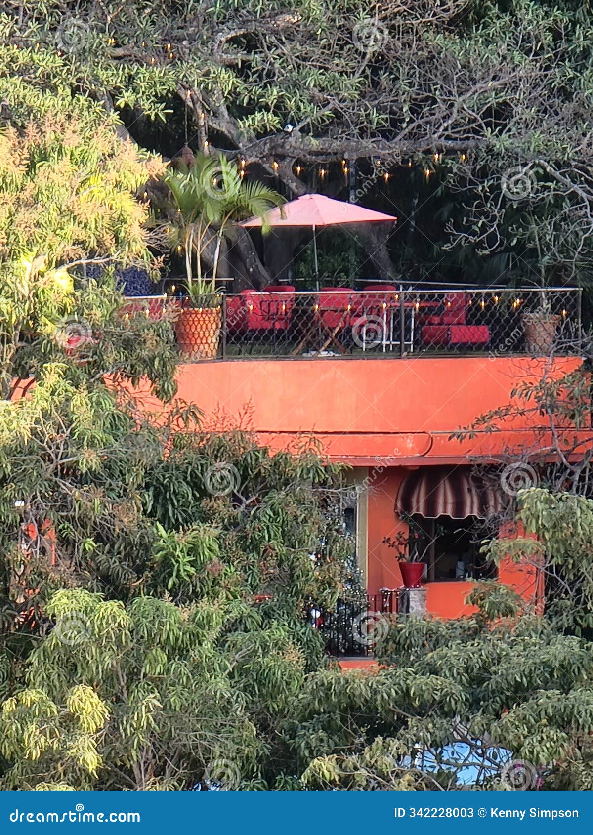 Living on the Edge of the Jungle Stock Illustration - Illustration of ...