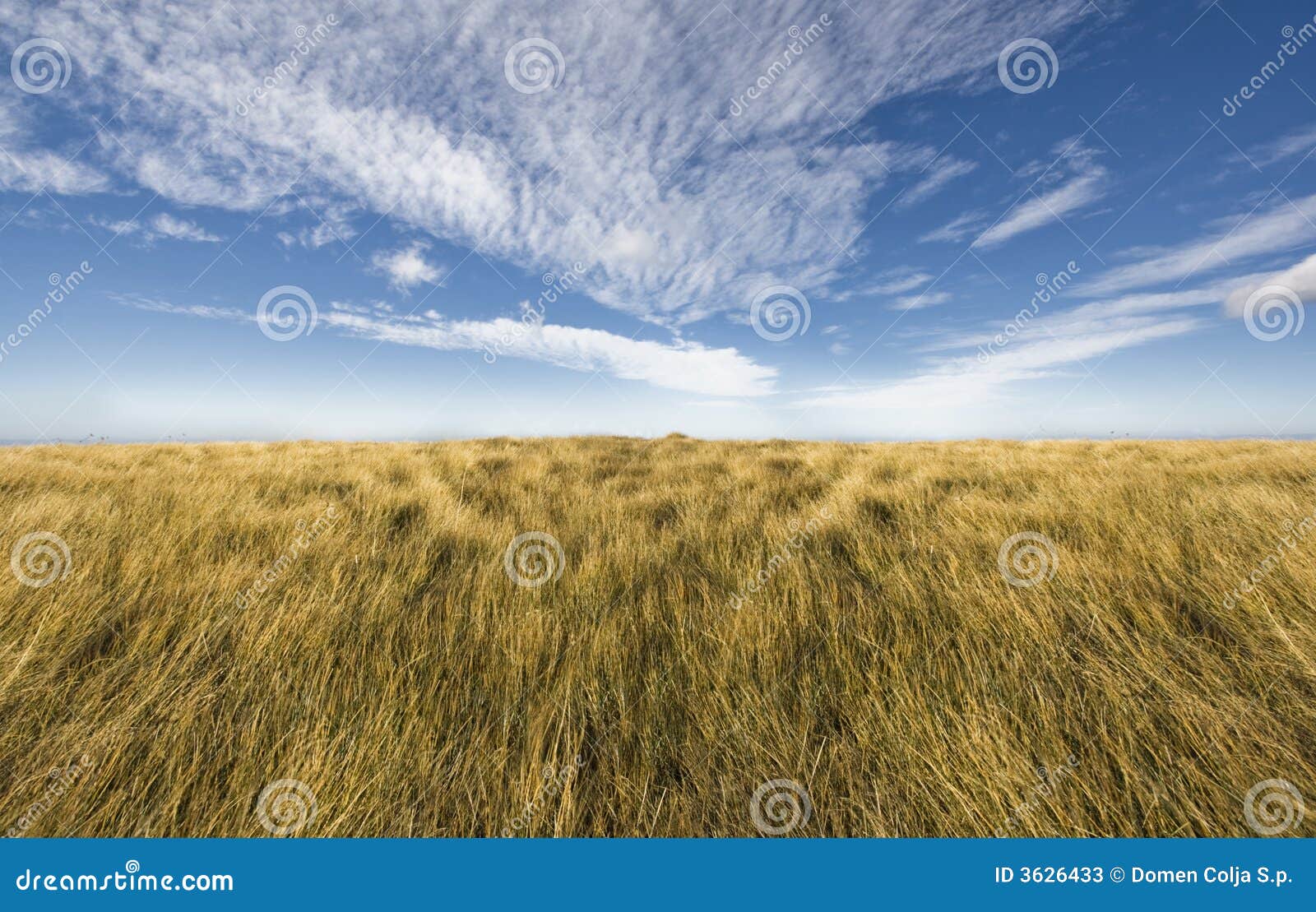 Simple Horizon on a Blue Sky Stock Image - Image of autumn, pasture ...
