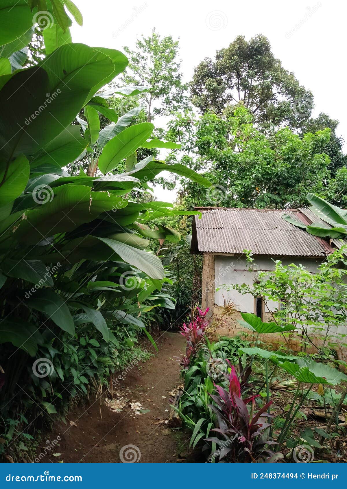 Simple House in the Countryside Stock Photo - Image of taman, house ...