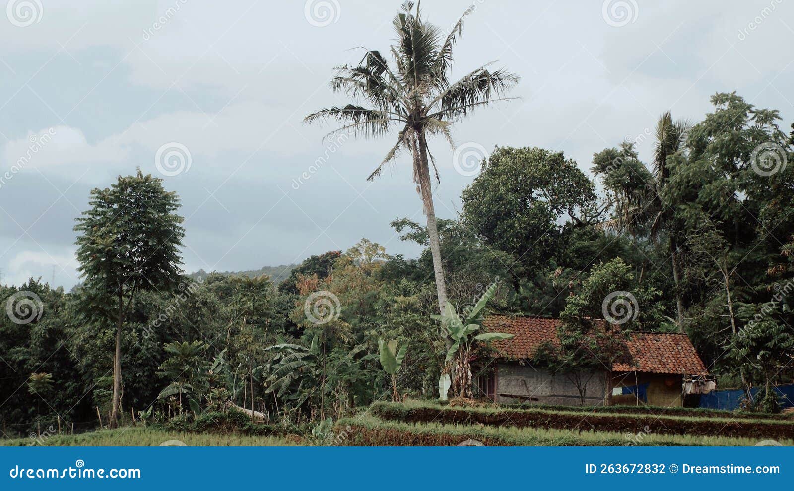 Simple House Under Mount Puntang Indonesia Stock Photo - Image of ...