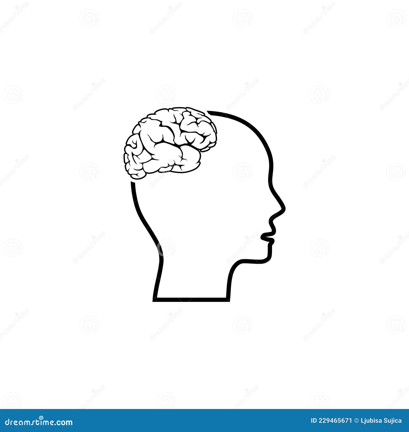 Simple Human Brain Icon Isolated on White Background Stock Illustration ...