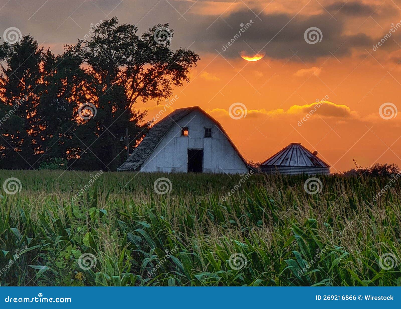 Simple Hut in the Grass Field in Joliet Park at Sunset Stock Photo ...