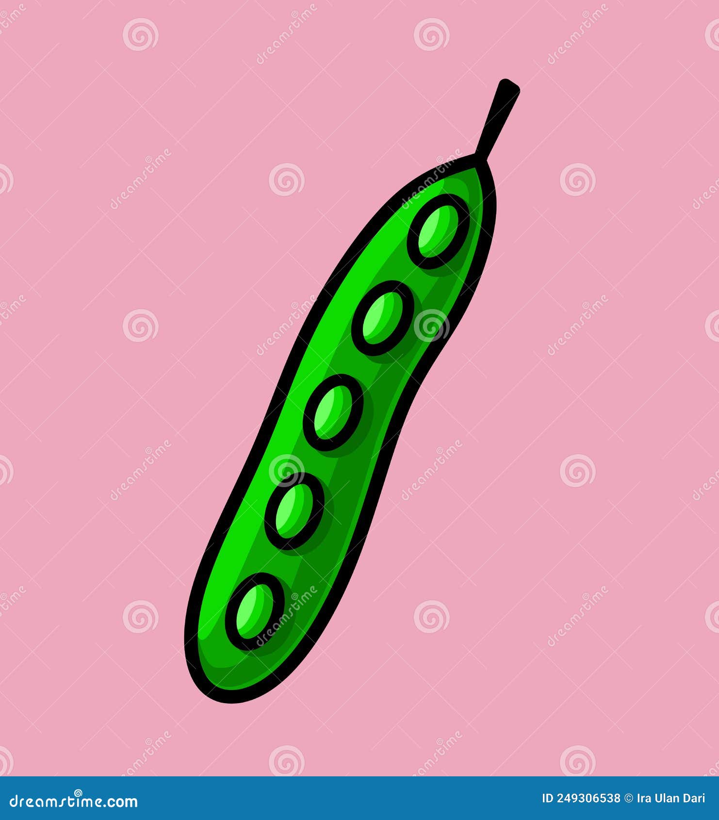 Simple Illustration of a Plant Known As Petai. Stock Illustration ...