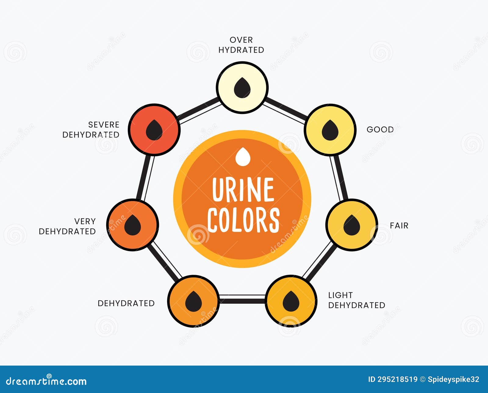 Simple Infographic about Urine Colors. Isolated Vector Illustration ...