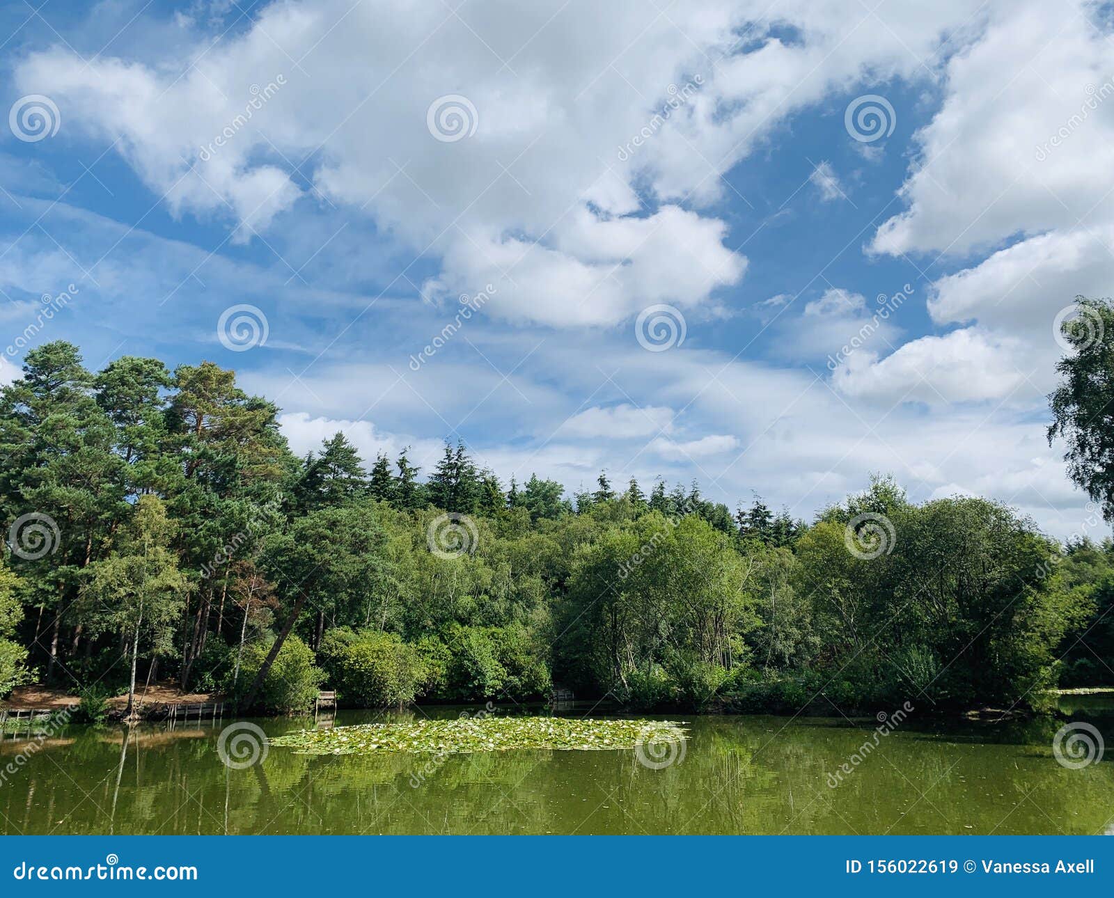 Simple lake stock image. Image of water, lake, trees - 156022619