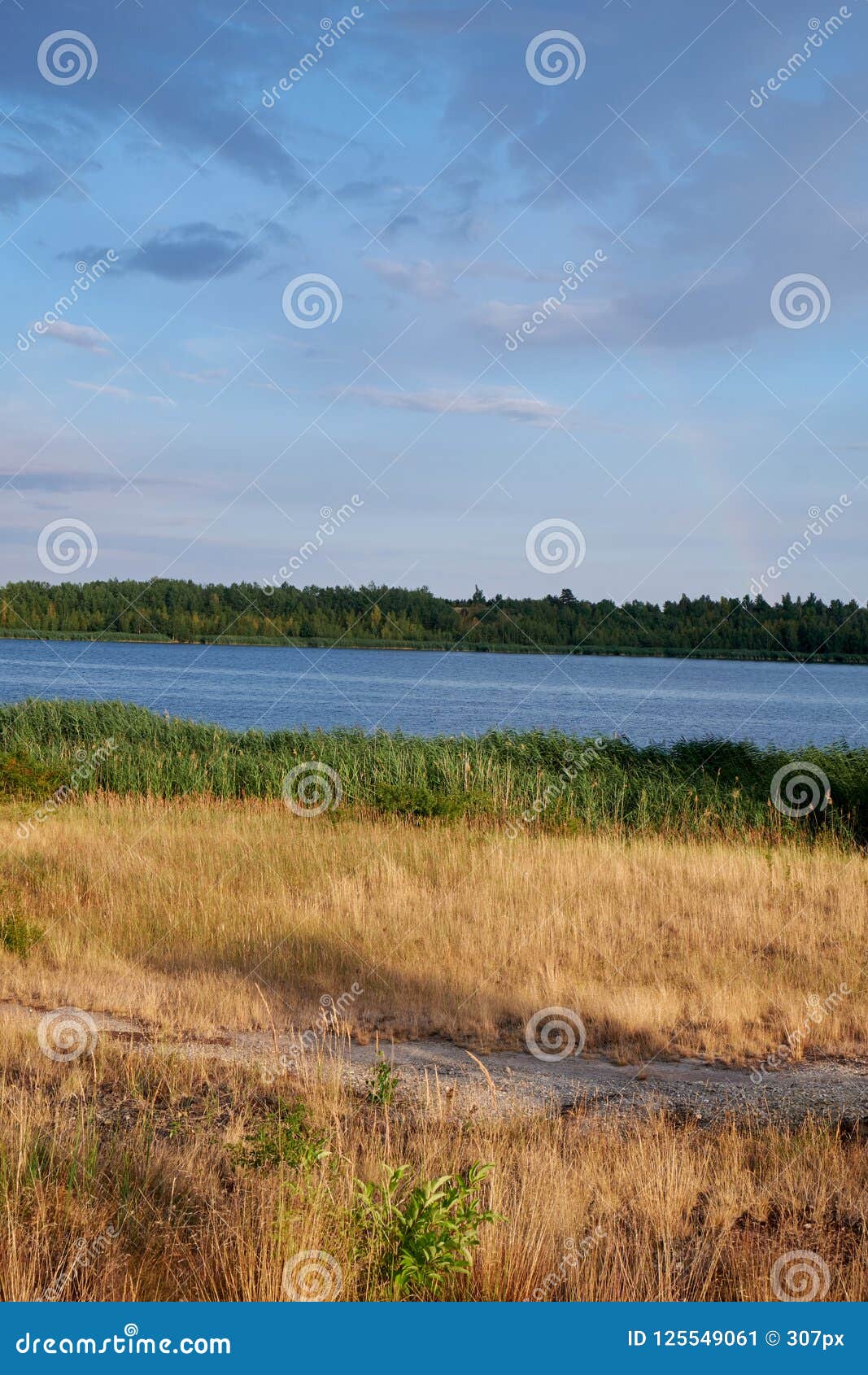 Simple Landscape Structured in Horizontal Patterns of Different Colors ...