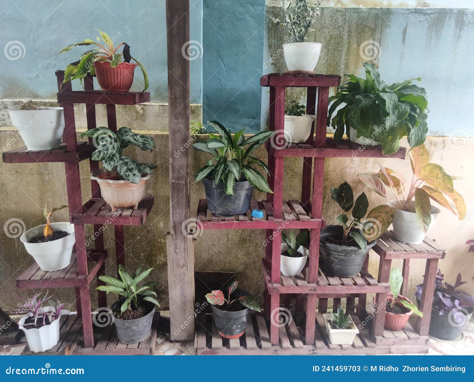 Simple Layout Putting Pots at Home Stock Image - Image of putting ...