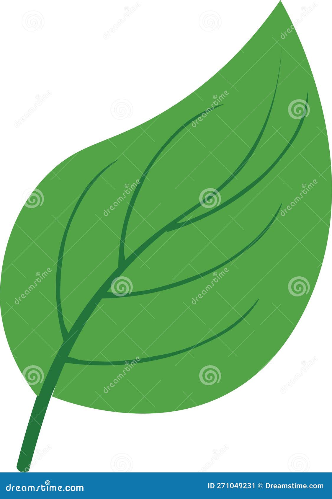 Simple Leaf stock vector. Illustration of drawing, margin - 271049231