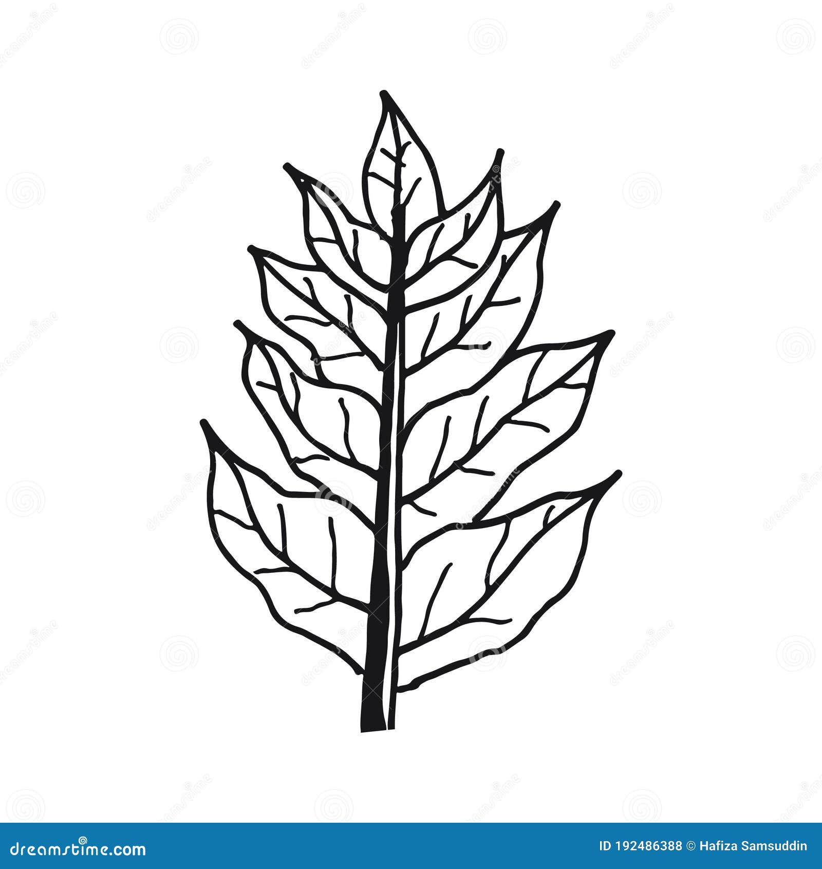 Simple Leaf Design. Vector Illustration Decorative Design Stock Vector ...
