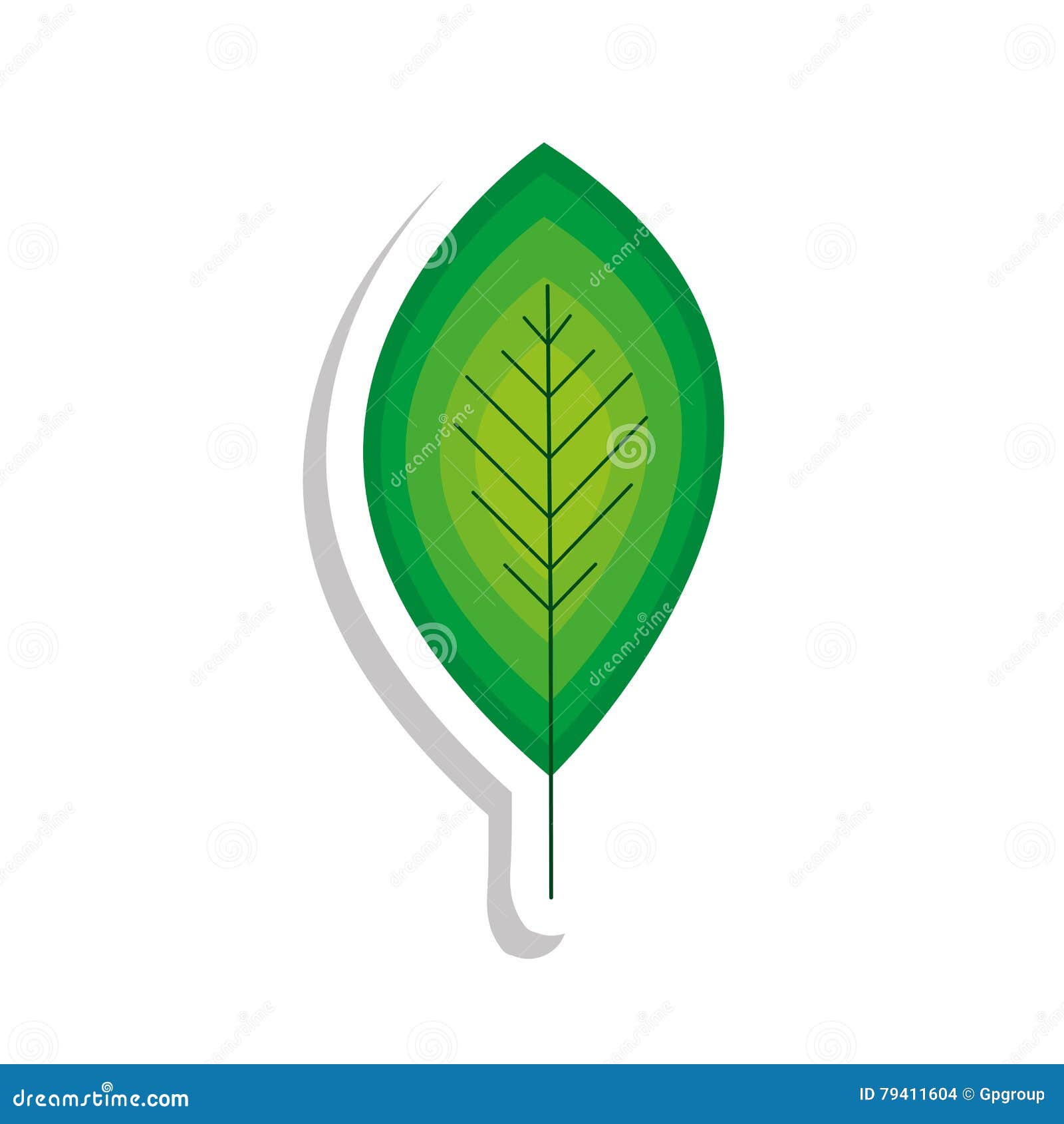 Simple leaf icon image stock vector. Illustration of birch - 79411604