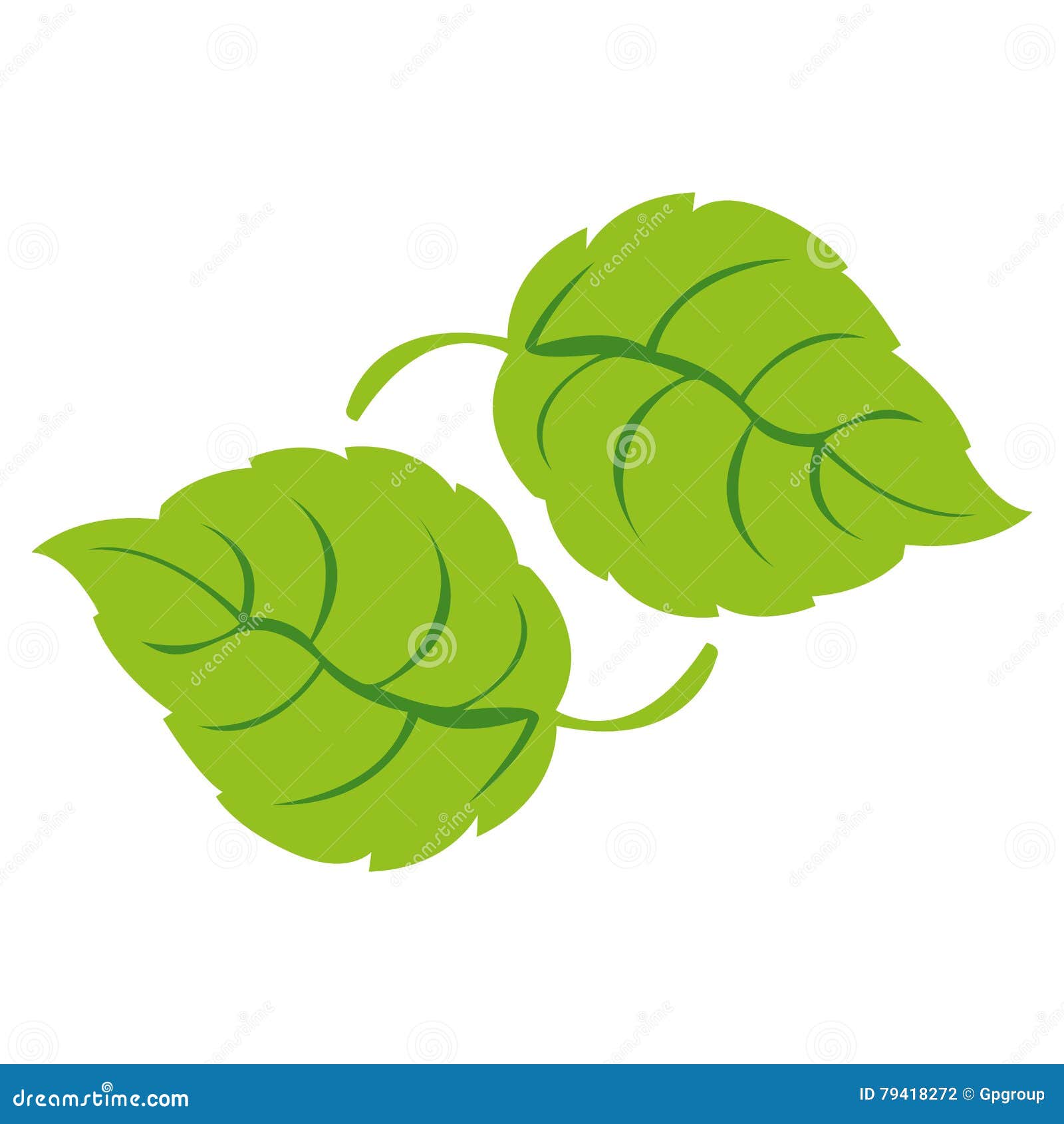Simple leaf icon image stock vector. Illustration of foliage - 79418272