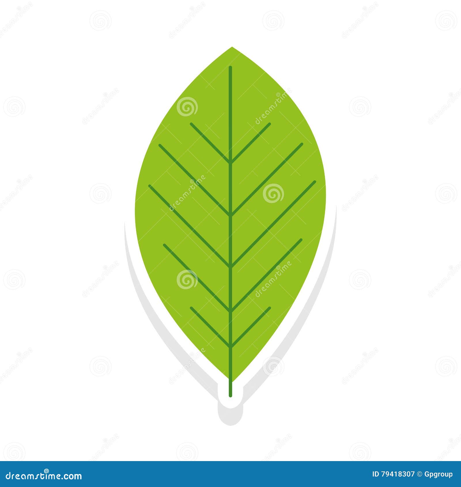 Simple leaf icon image stock vector. Illustration of foliage - 79418307