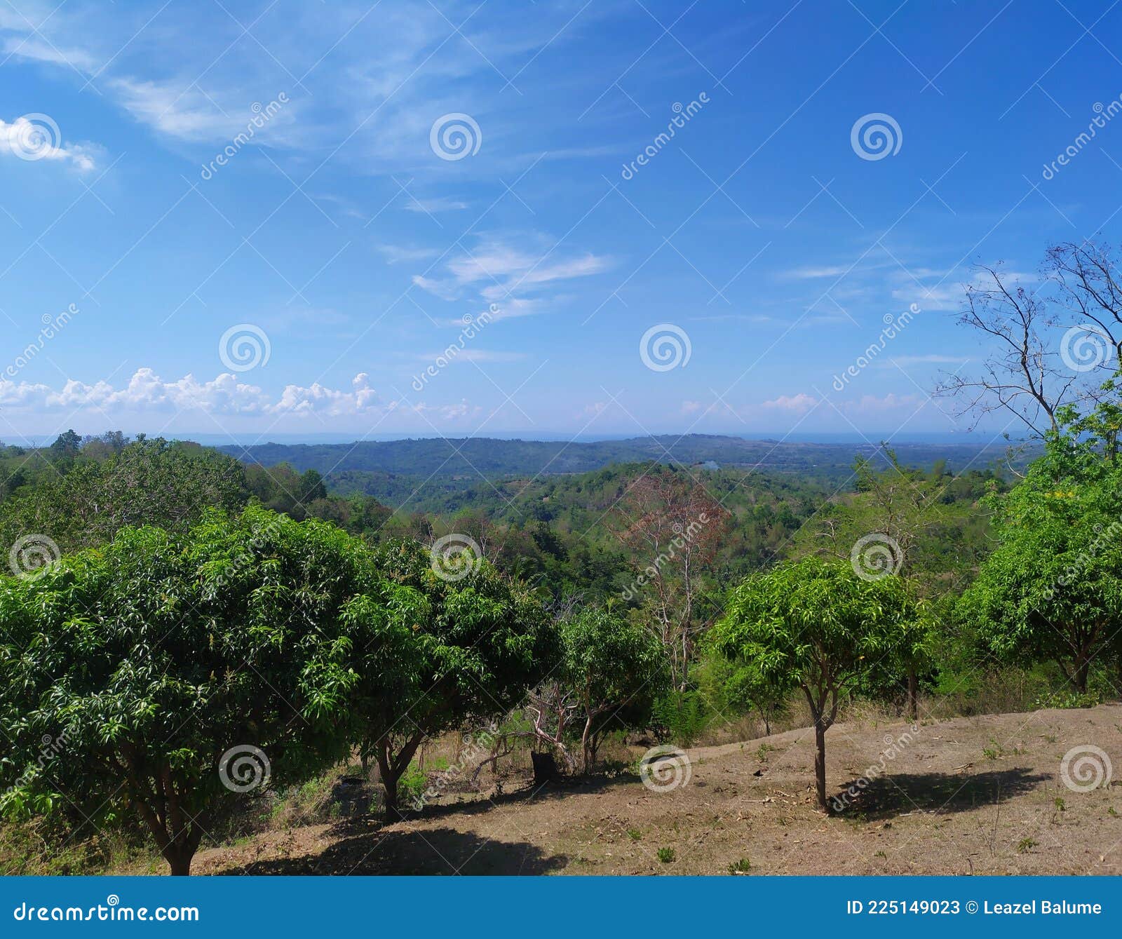 Simple life in the farm stock image. Image of jungle - 225149023