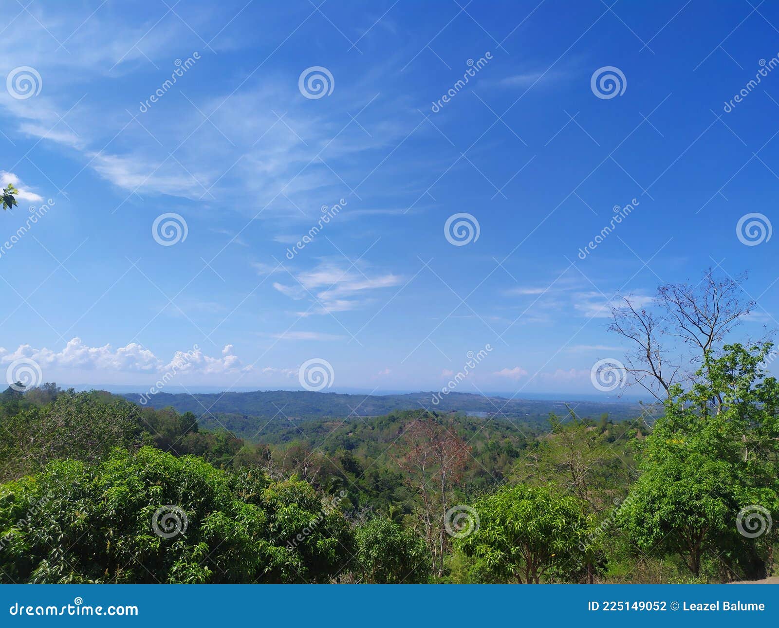 Simple life in the farm stock photo. Image of simple - 225149052