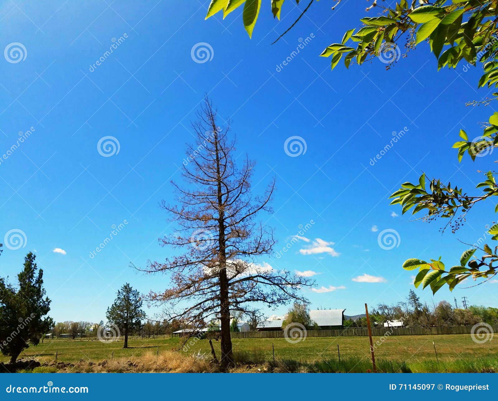 Simple Life editorial photography. Image of happiness - 71145097