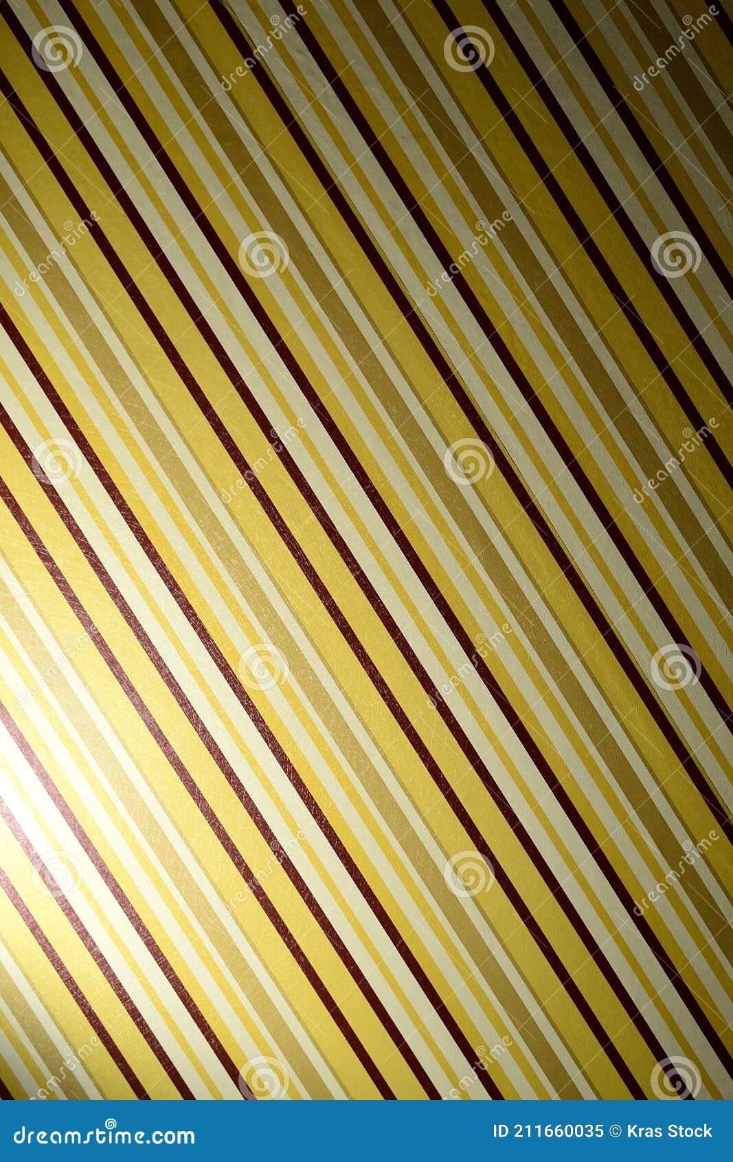 Simple line background stock image. Image of reed, modern - 211660035