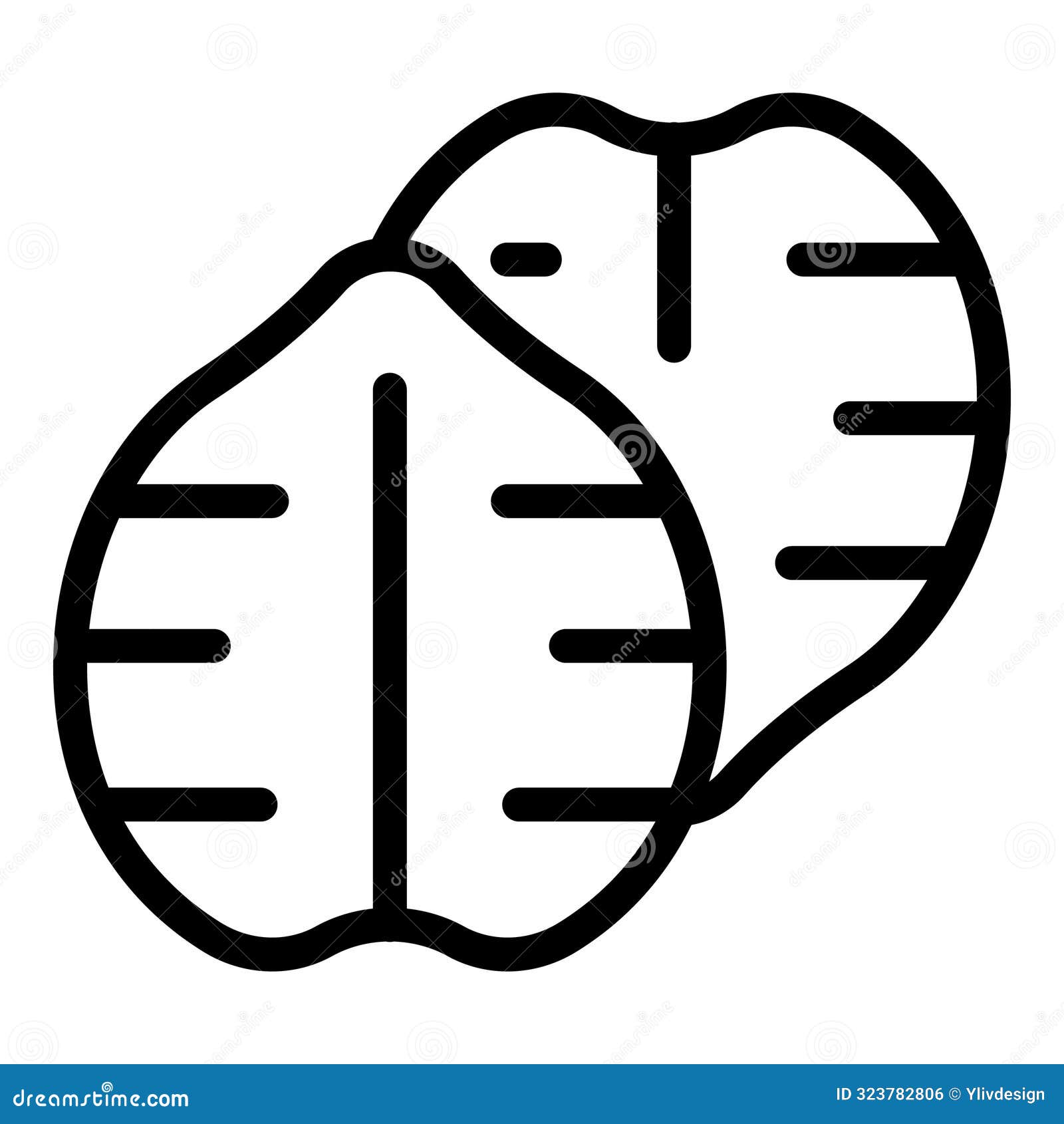 Simple Line Drawing Icon of Two Walnut Halves Stock Vector ...