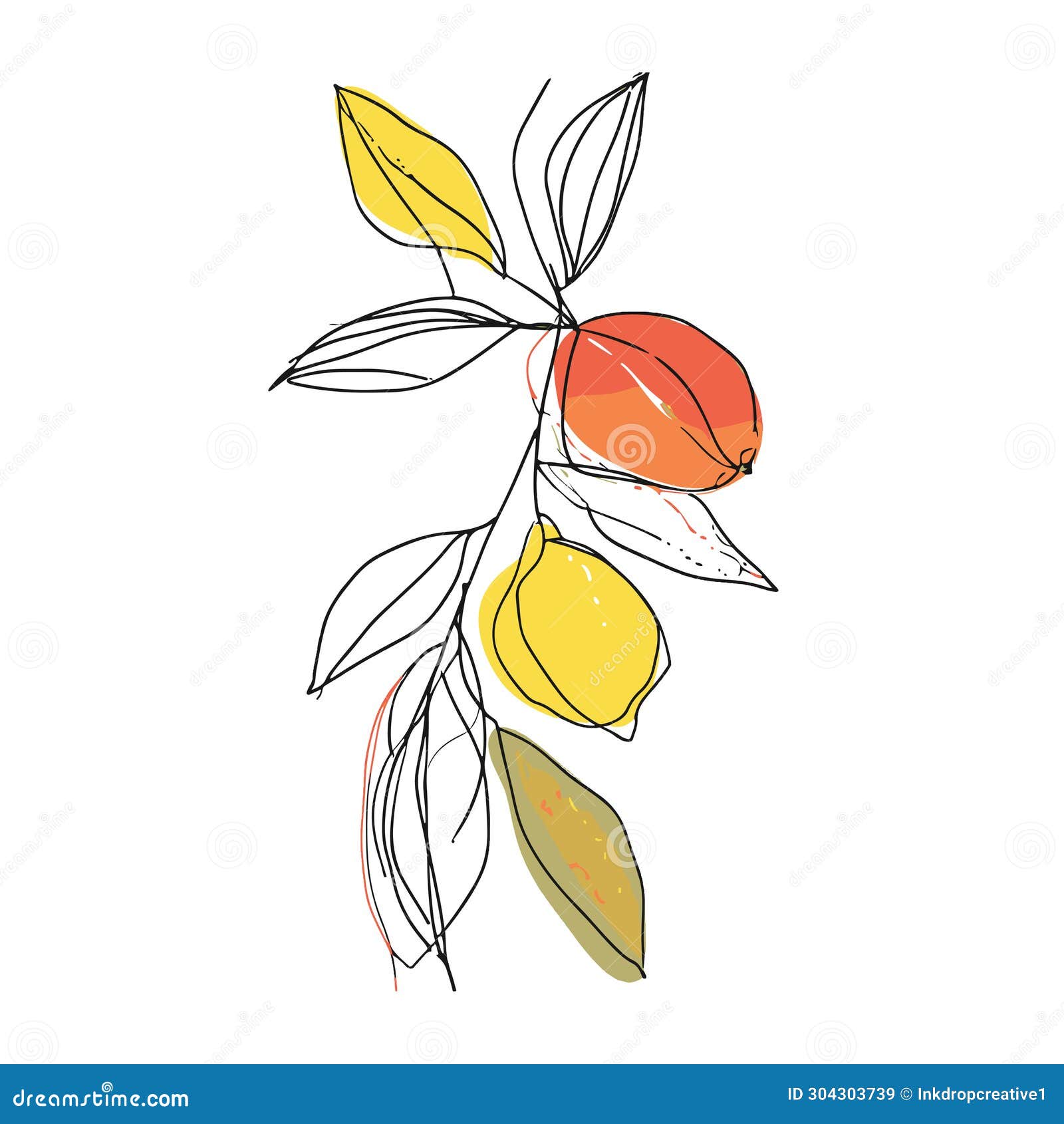 Simple Line Drawing Illustration of a Lemon on a Tree Branch Stock ...