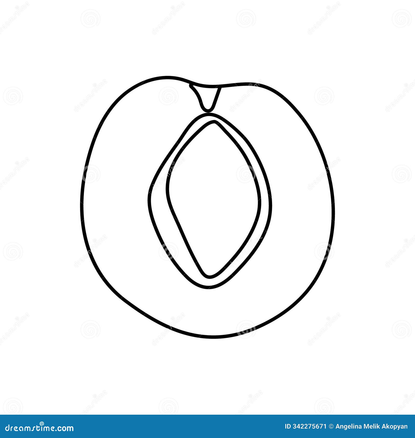 Simple Line Drawing of a Sliced Fruit Showcasing Its Inner Seed and ...