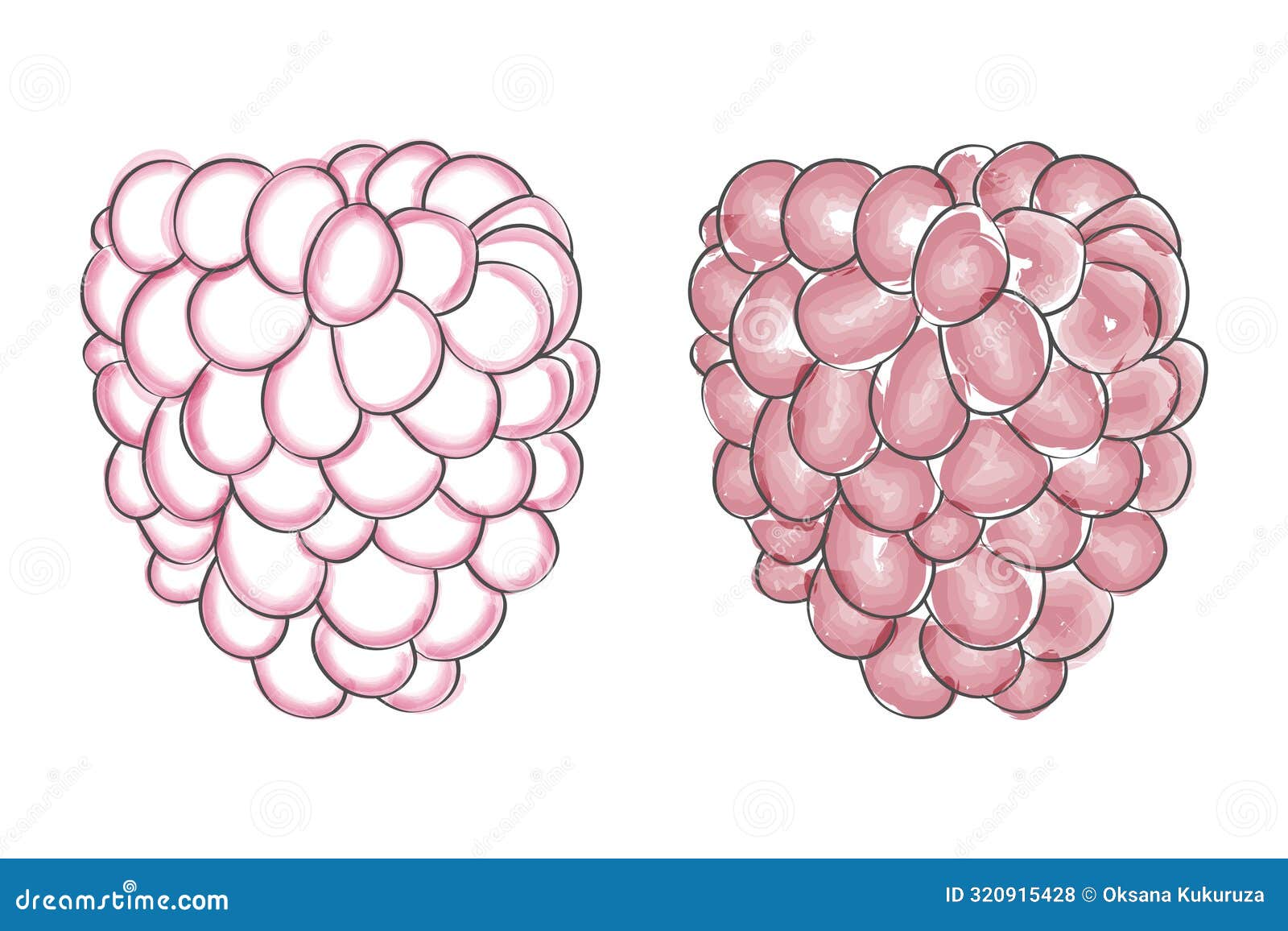 Simple Line Drawings Raspberry in Two Variations Stock Vector ...
