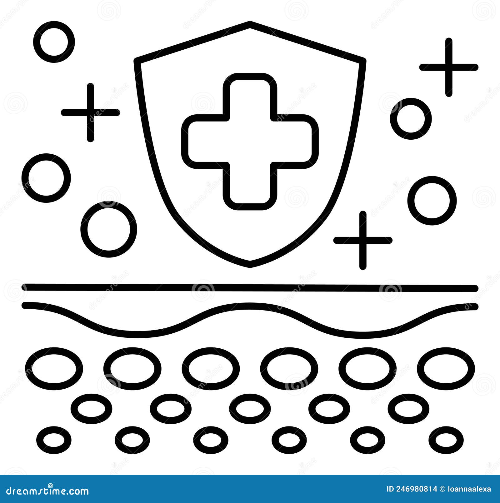 Epidermis Linear Icon. Modern Outline Epidermis Logo Concept On Vector ...