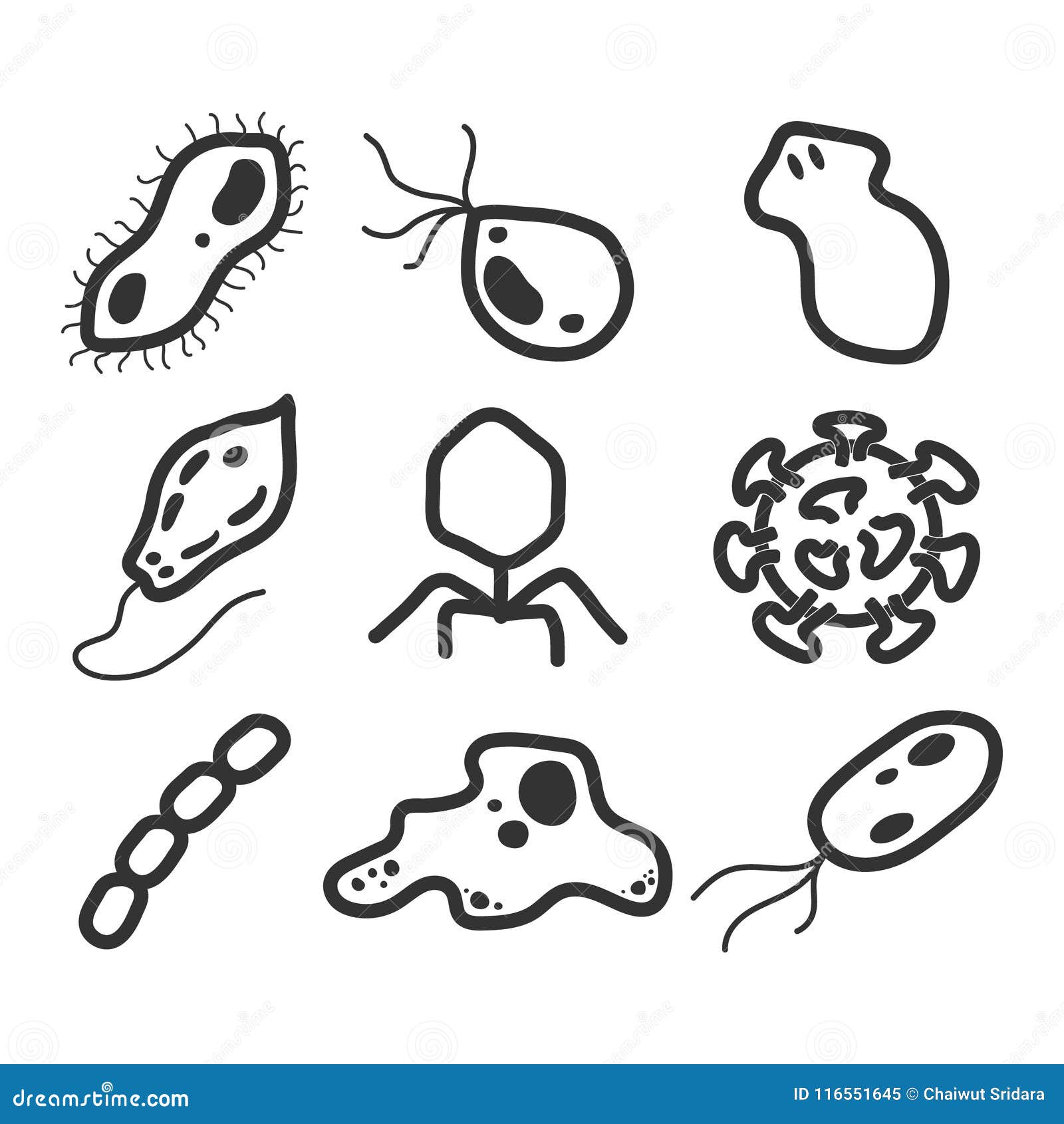 Simple Micro Organism Icon Set, Virus, Bacteria, Algae, Protozoa Stock ... Simple Micro Organism Icon Set, Virus, Bacteria, Algae, Protozoa Stock ...