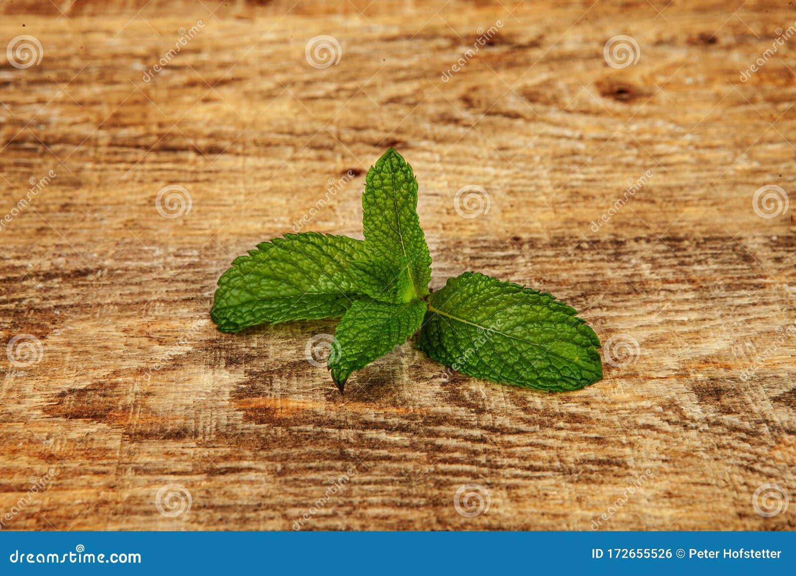 Simple Mint Leaf Shot on Wood Background. Simple Mint Leaf Stock Photo ...