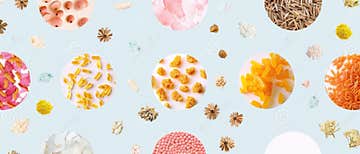 Simple Modern Elements with Probiotic Bacteria Types in Circle Shape ...