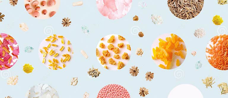 Simple Modern Elements with Probiotic Bacteria Types in Circle Shape ...