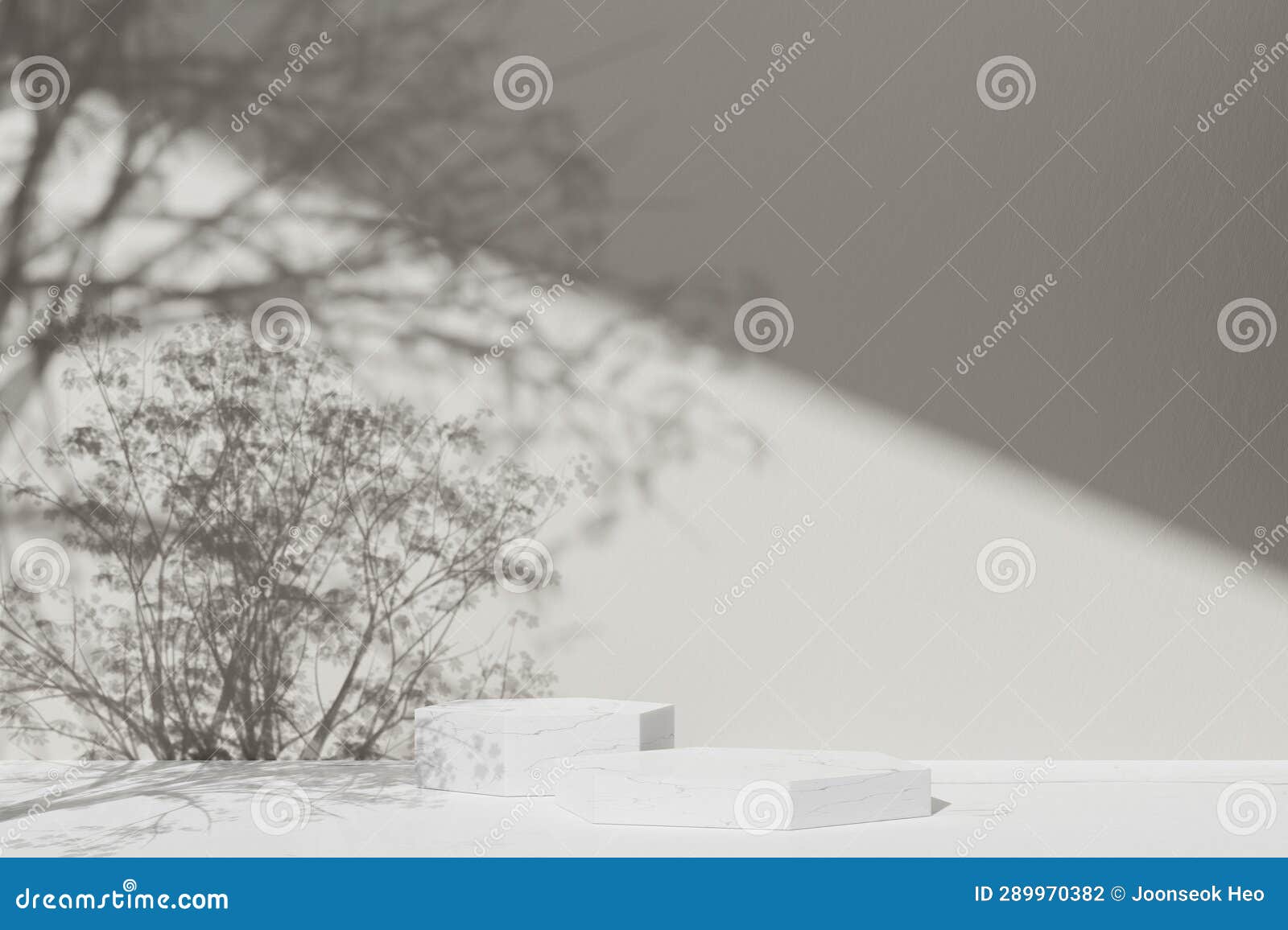 Simple Monotone Background with Vases, Tree Shadows and Natural Light ...