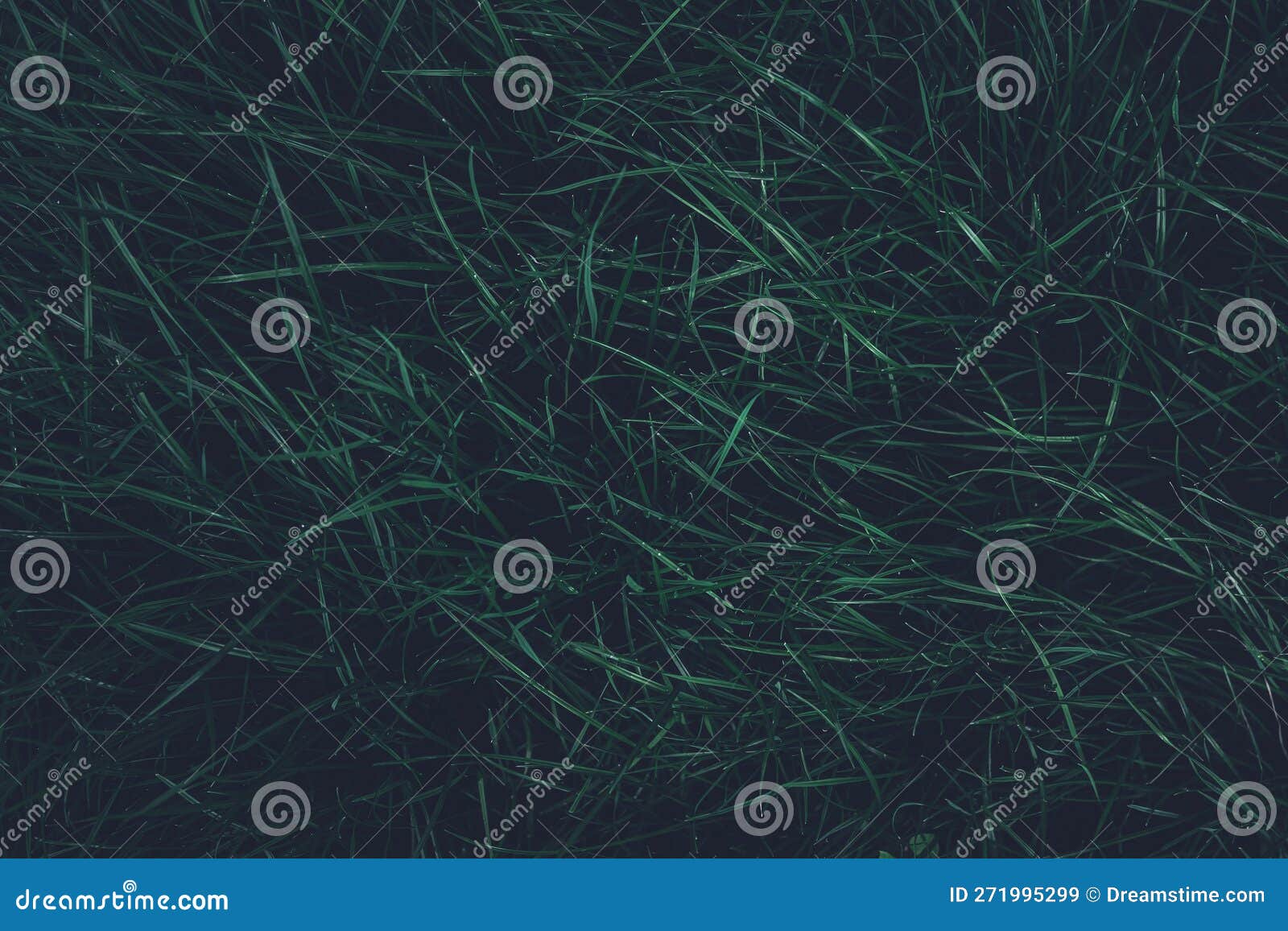 Simple Moody Green Grass Texture Stock Image - Image of plant, green ...