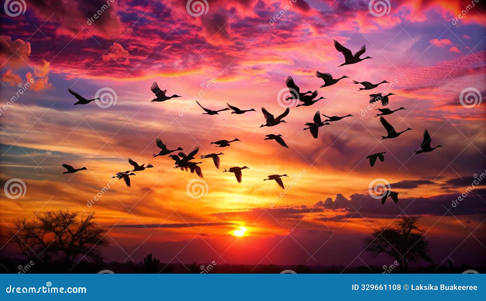 Simple Multiple Backgrounds with Magenta Gradients. Popular Stock ...