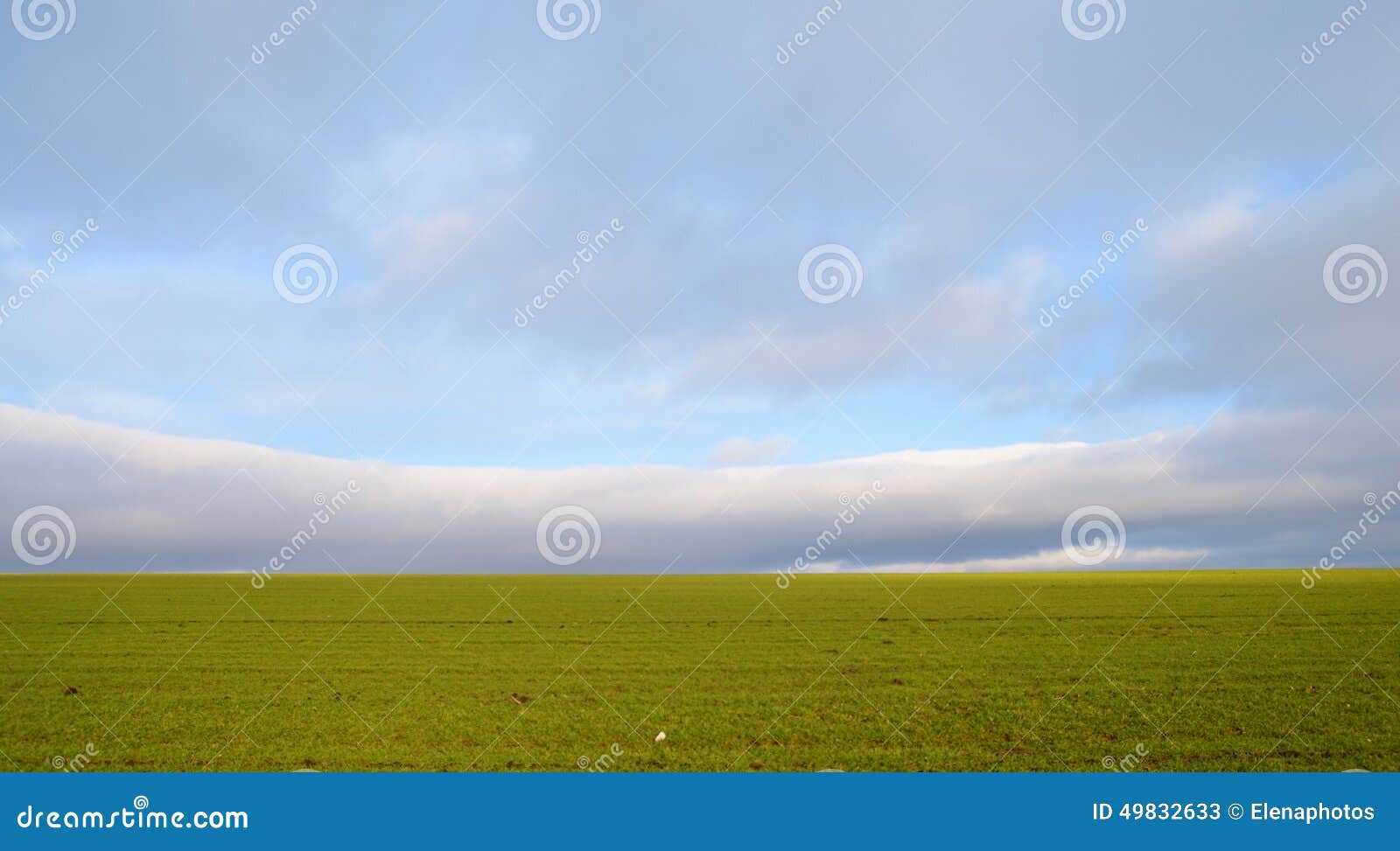 Simple Nature Inspired Red Tulip Closeup Illustration Stock Photo ...