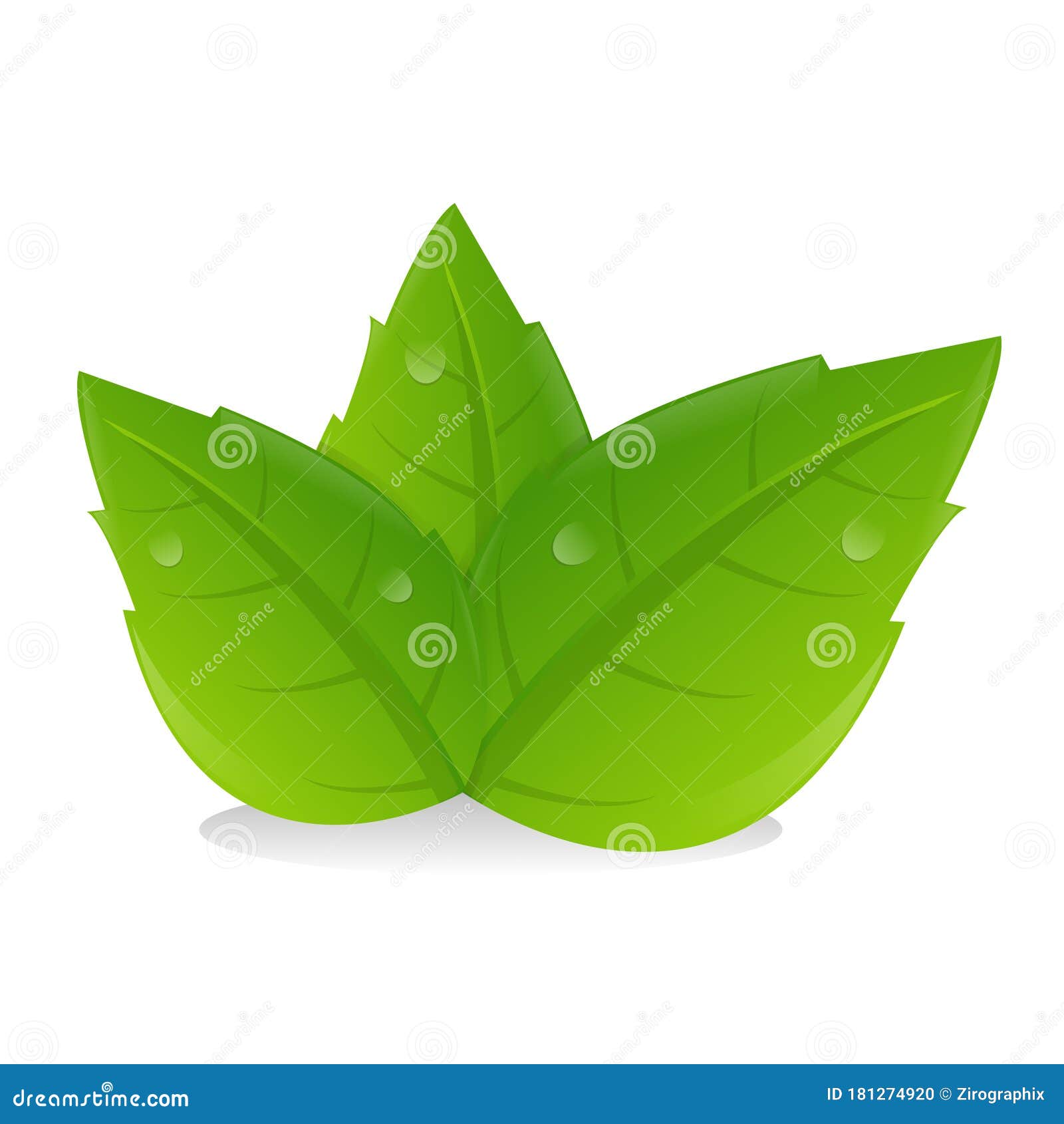 Mint Leaf Vector Illustration Design Stock Vector - Illustration of ...
