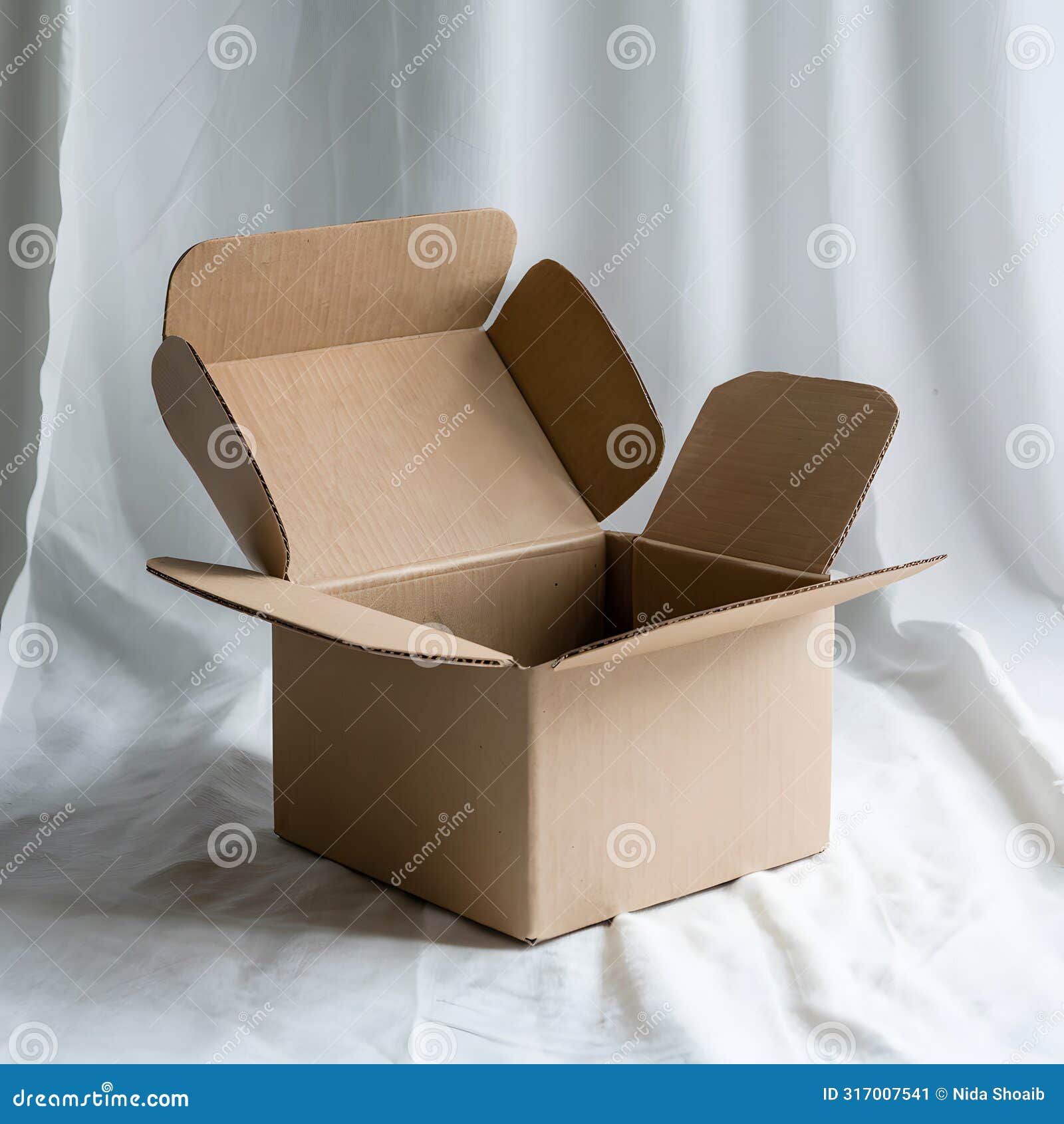 A Simple Open Cardboard Box With Light Brown Interior And Functional ...