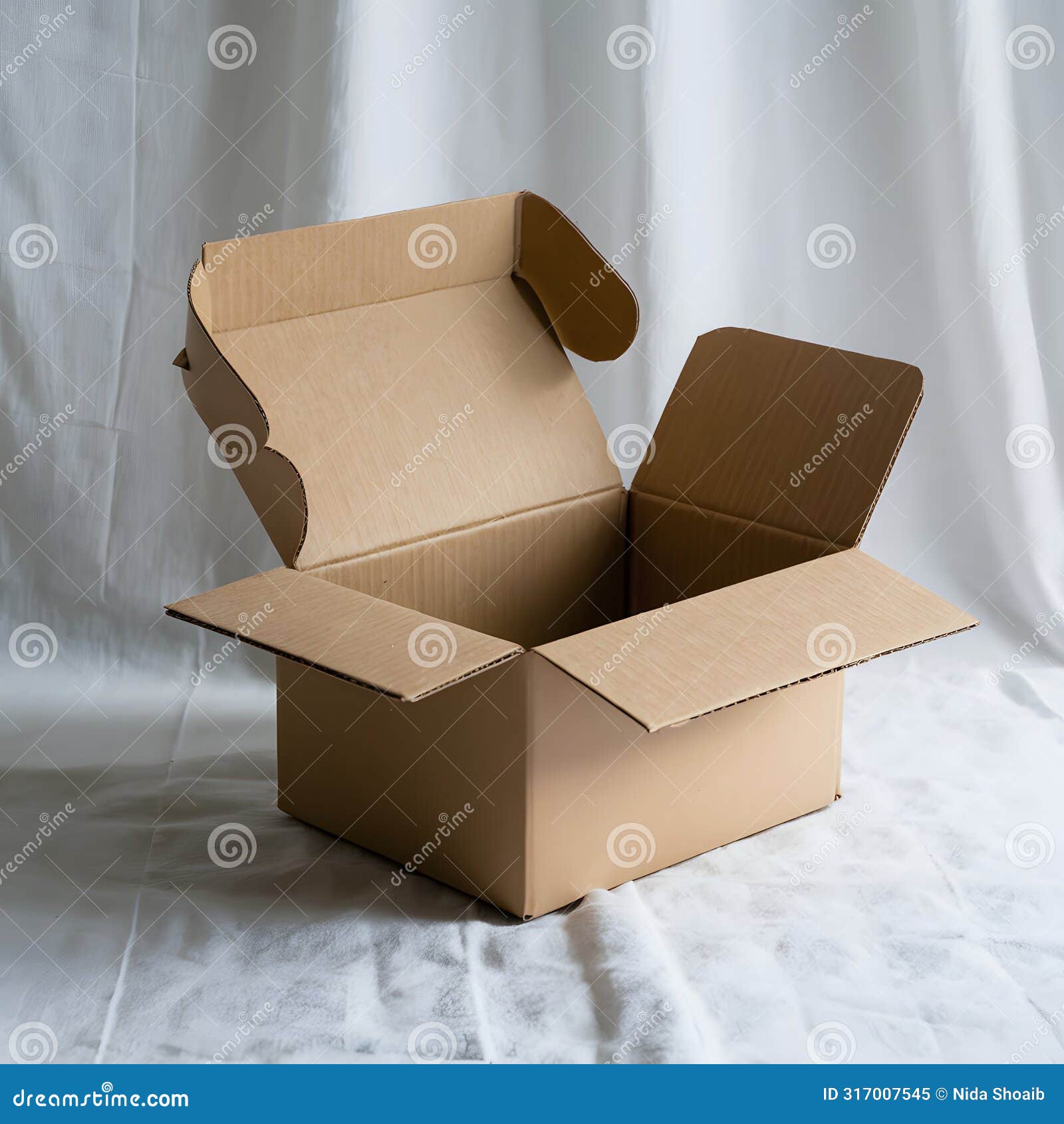 A Simple Open Cardboard Box With Light Brown Interior And Functional ...